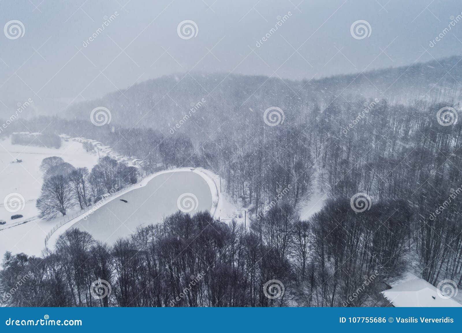 Aerial View of Forest in the Winter during the Snowfall Stock Photo ...