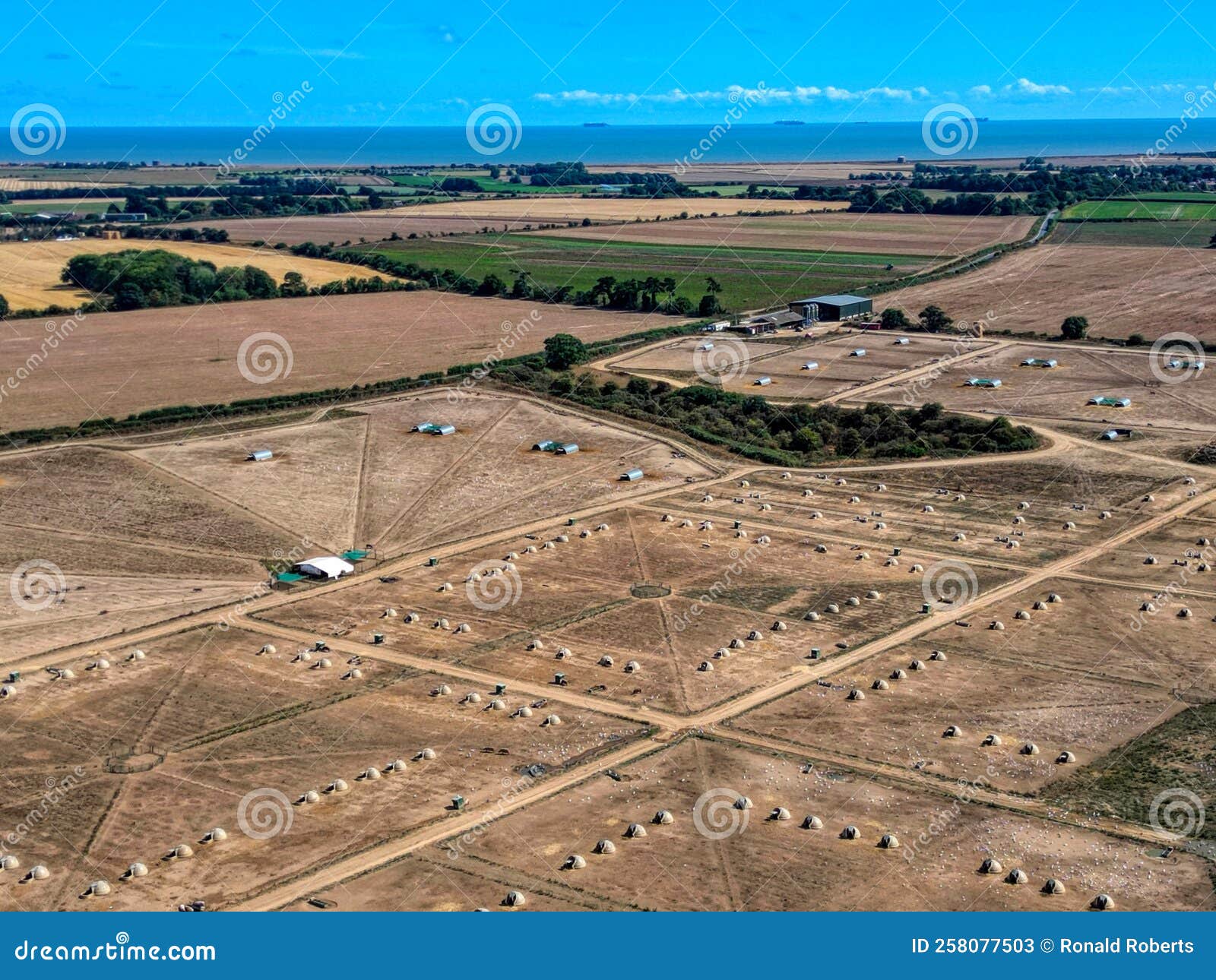 Aerial View of Free Range Pig Farming Stock Image - Image of bacon ...