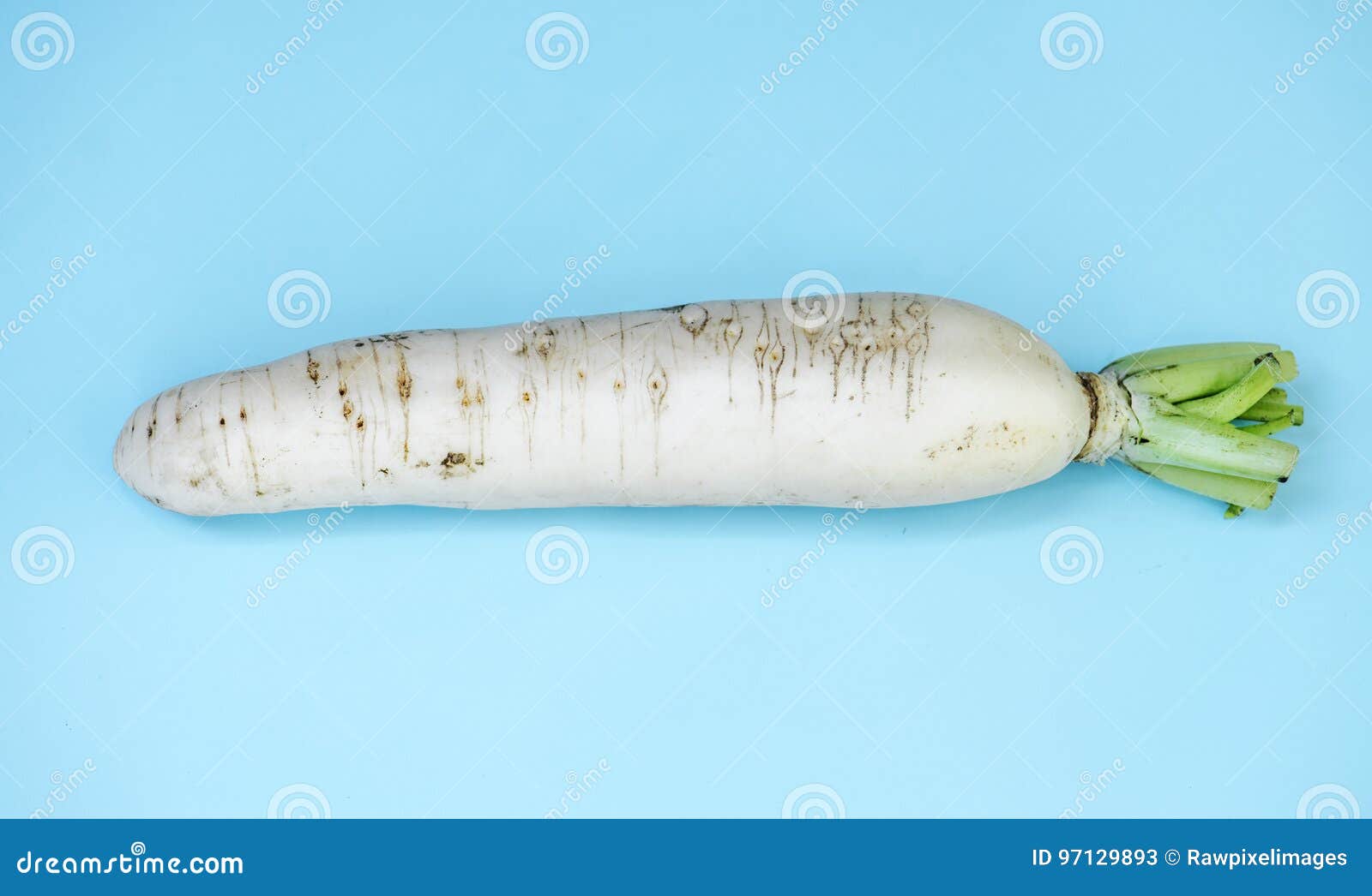 Aerial View of Fresh Chinese White Radish Stock Image - Image of ...