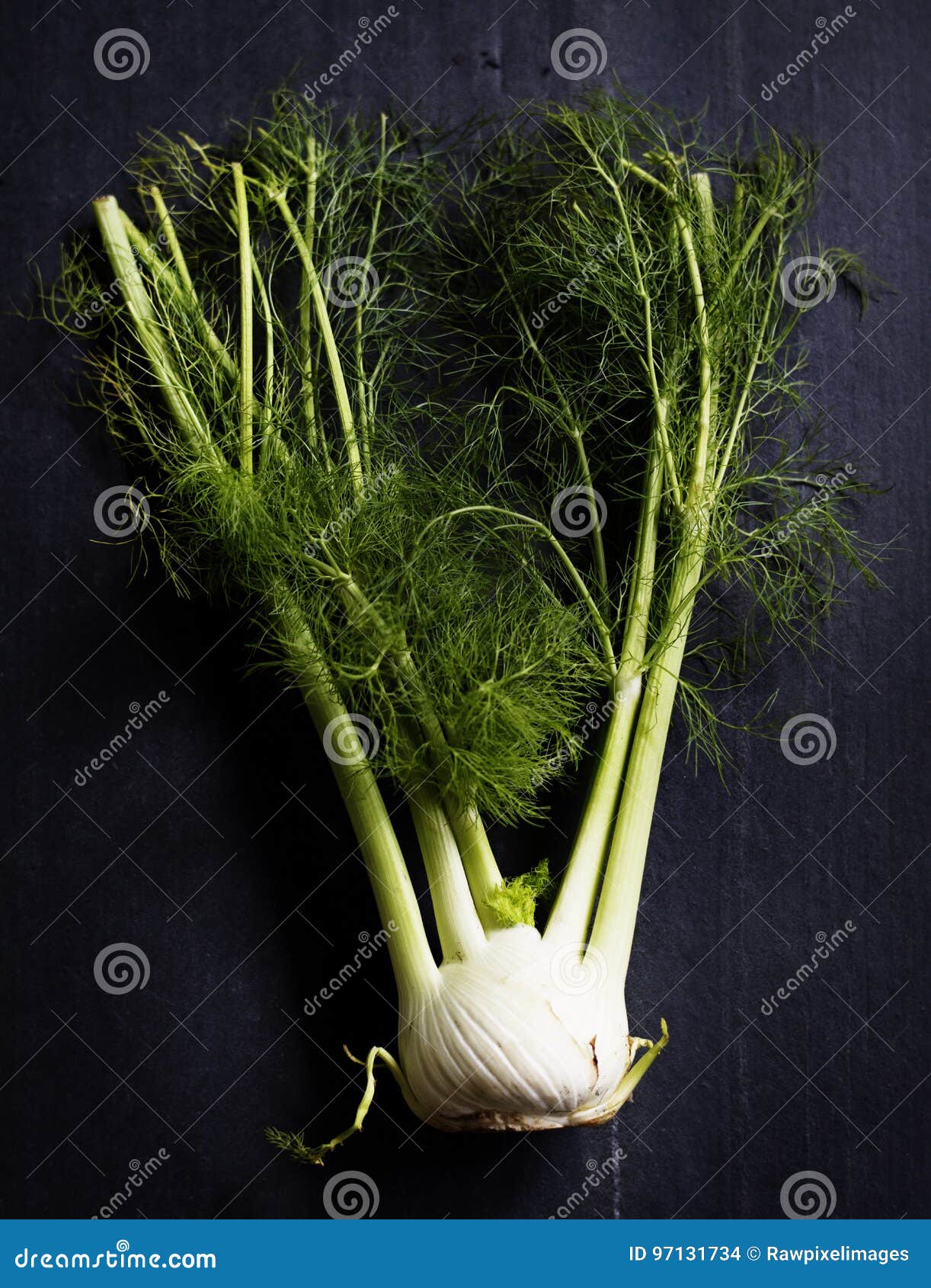 Aerial View of Fresh Funnel Vegetable on Black Background Stock Photo ...