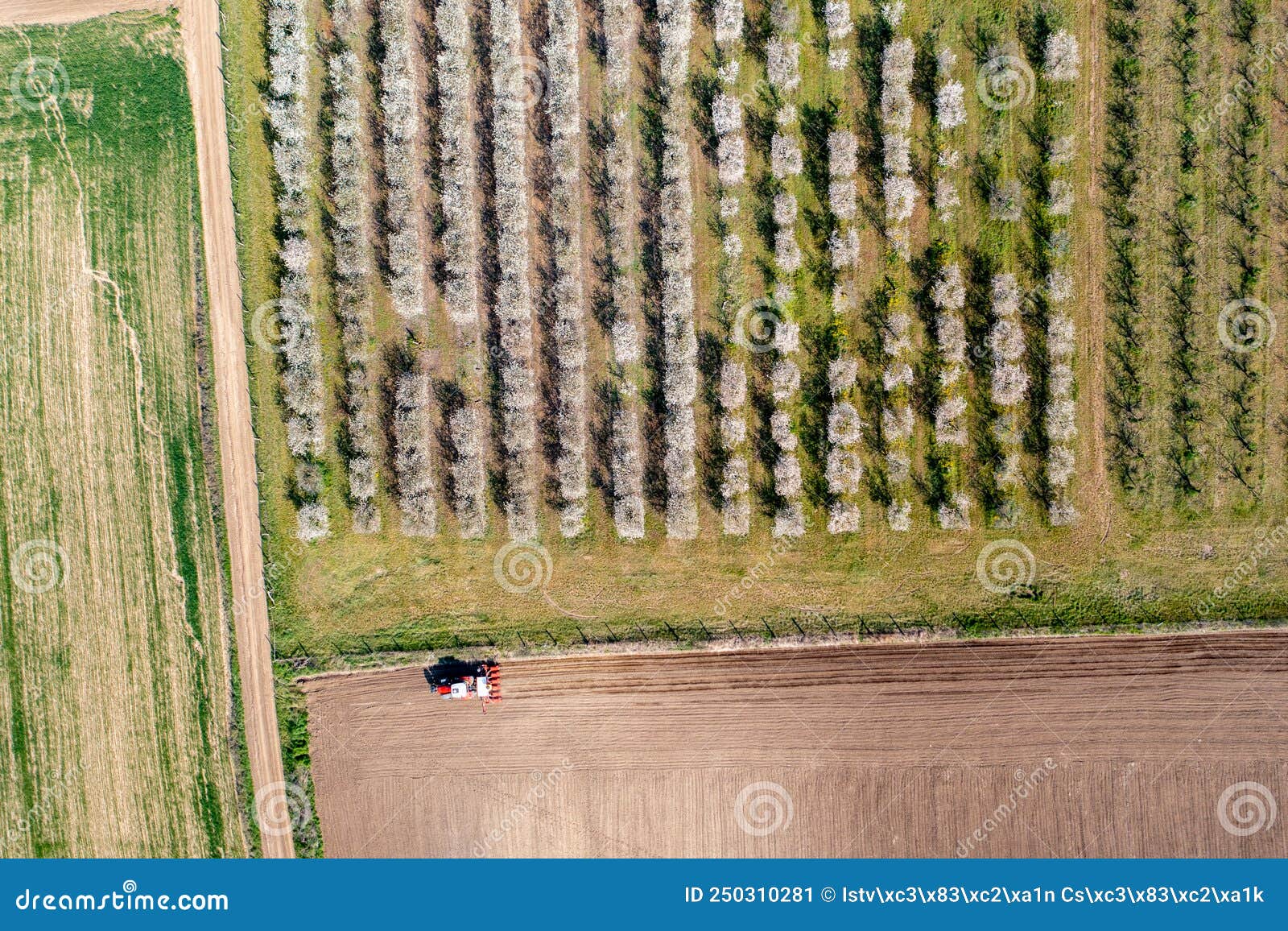 Aerial view of fruit trees stock image. Image of green - 250310281