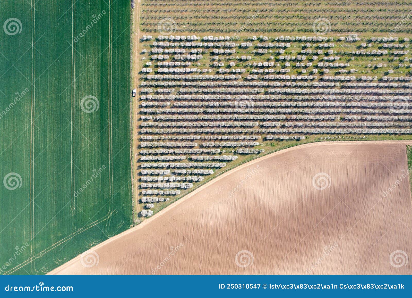 Aerial view of fruit trees stock image. Image of landscape - 250310547