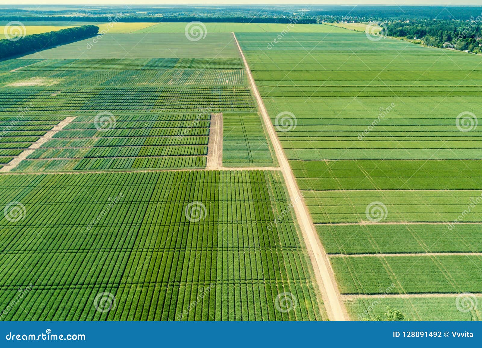 Aerial View of Geometric Green Fields Stock Photo - Image of landscape ...
