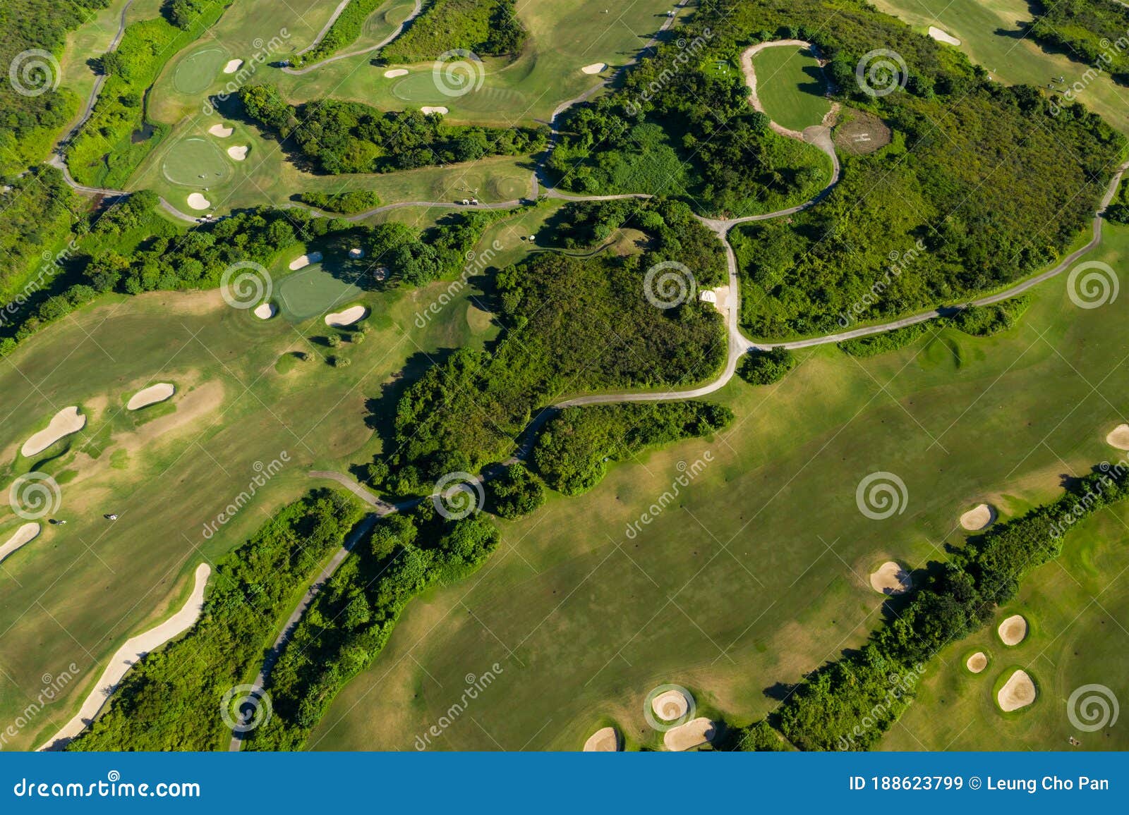 Golf court stock image. Image of nature, natural, forest - 188623799
