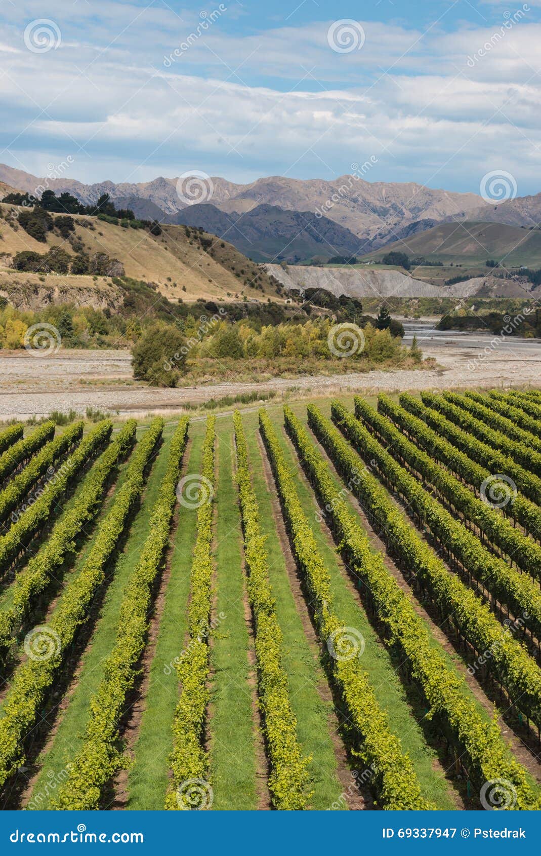 Aerial View of Grapevine Rows Stock Image - Image of cumulus, vine ...