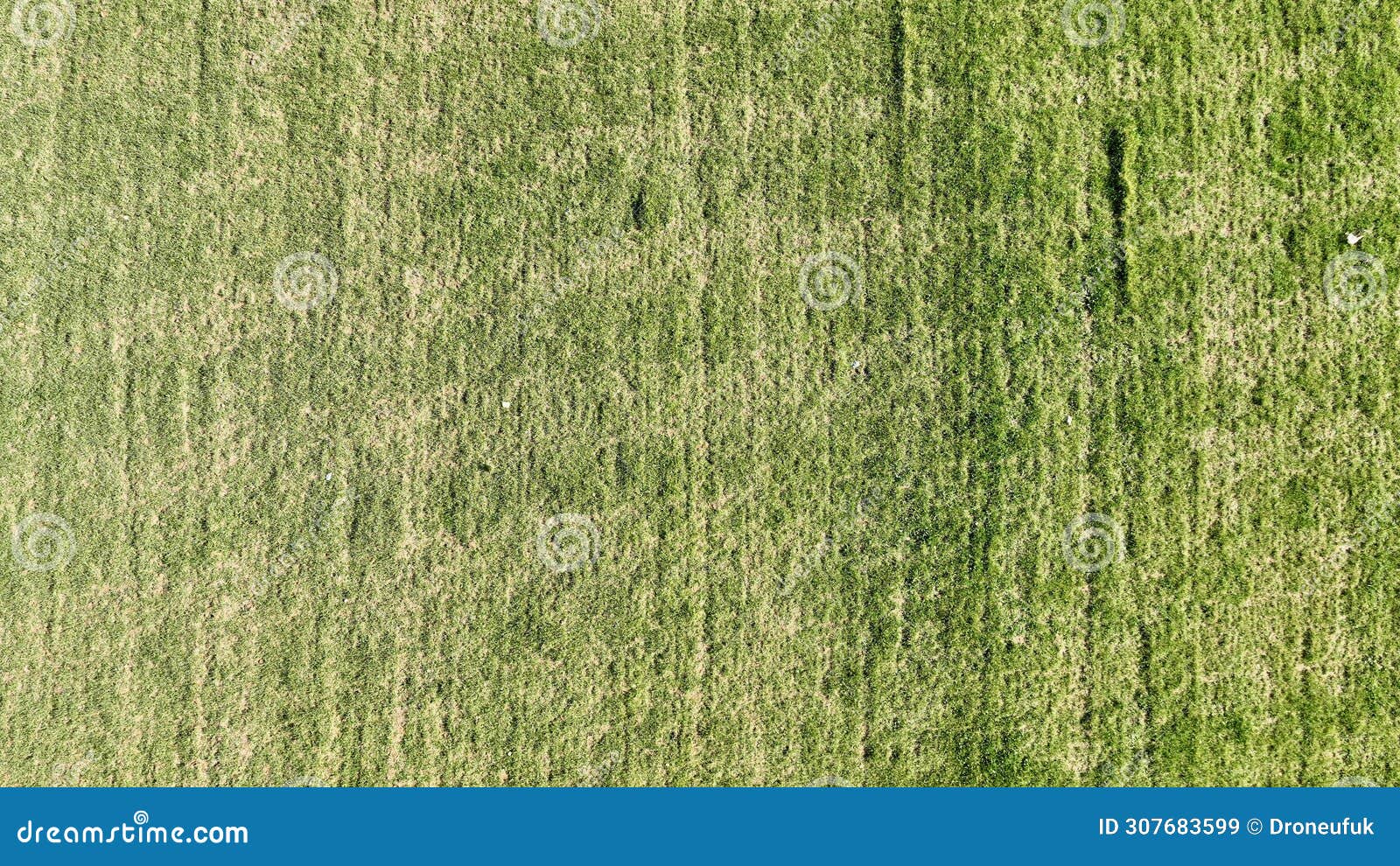 Aerial View of Grass Texture Above Ground Stock Image - Image of nature ...