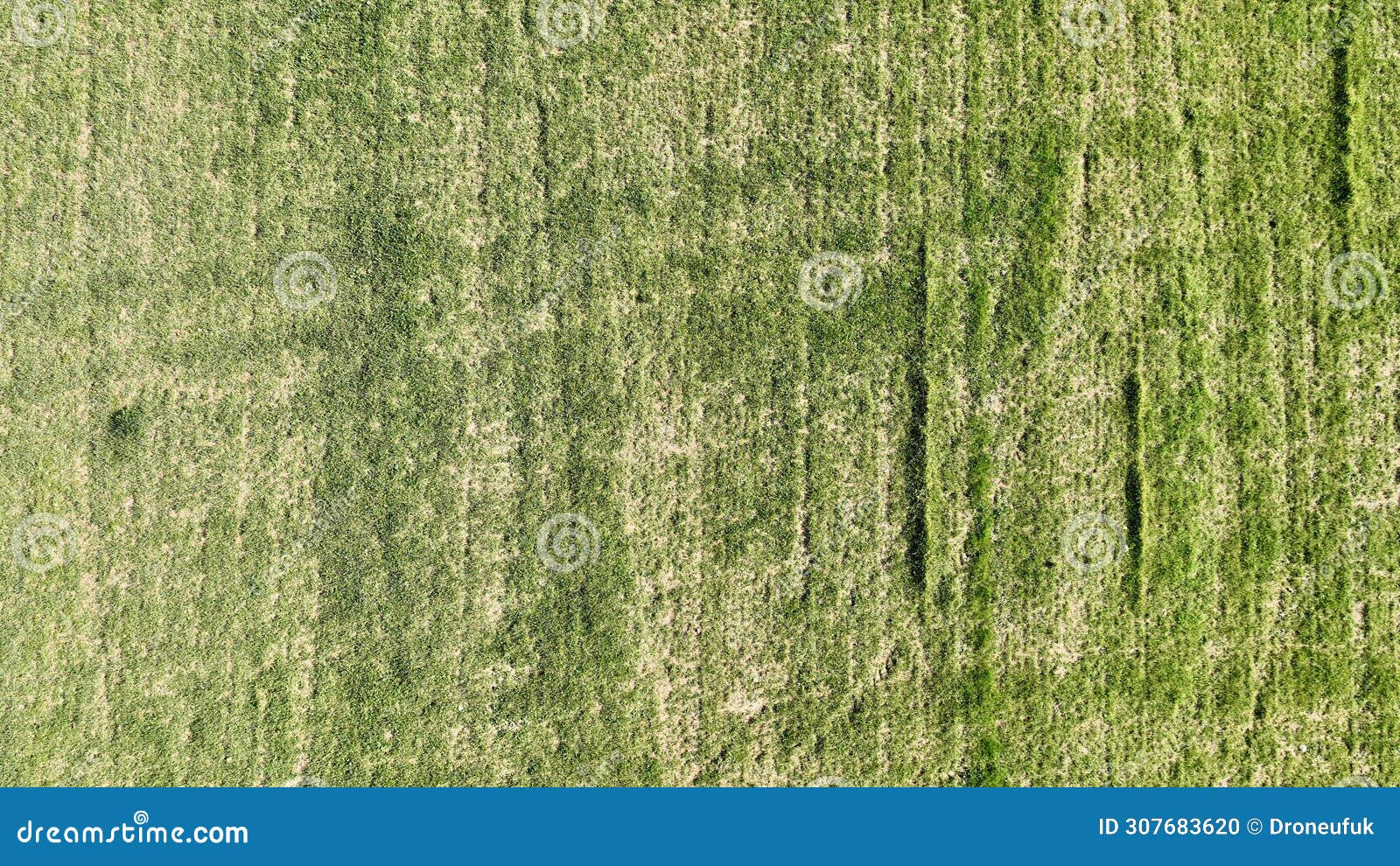 Aerial View of Grass Texture Above Ground Stock Photo - Image of windy ...