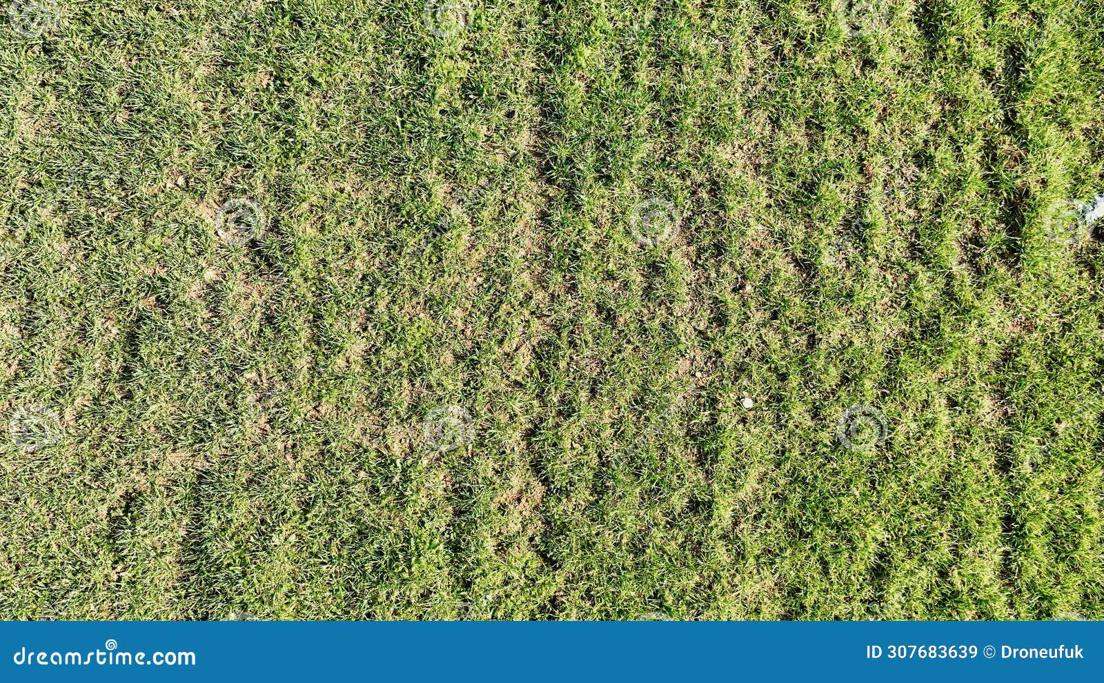 Aerial View of Grass Texture Above Ground Stock Image - Image of fresh ...