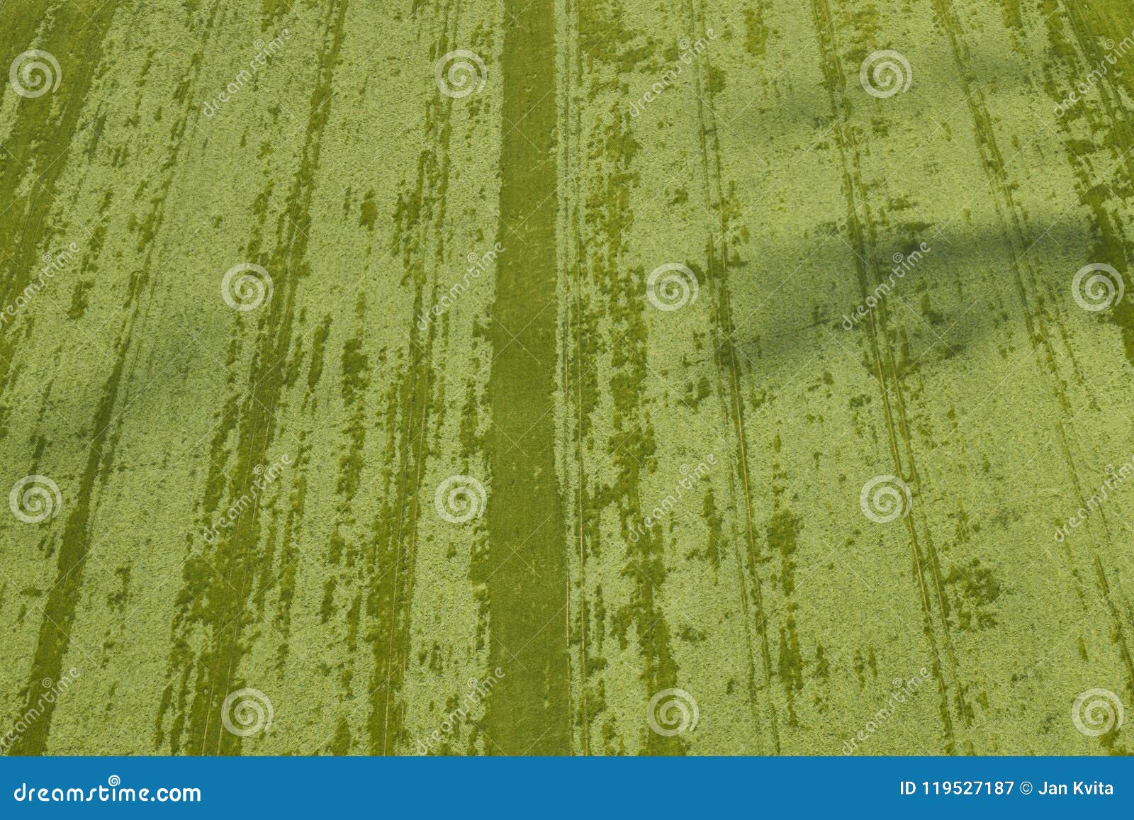 Aerial View of Green Field Texture in Perspective. Stock Image - Image ...