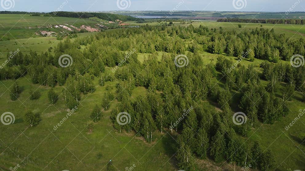 Aerial View of Green Fields and Trees Stock Photo - Image of natural ...