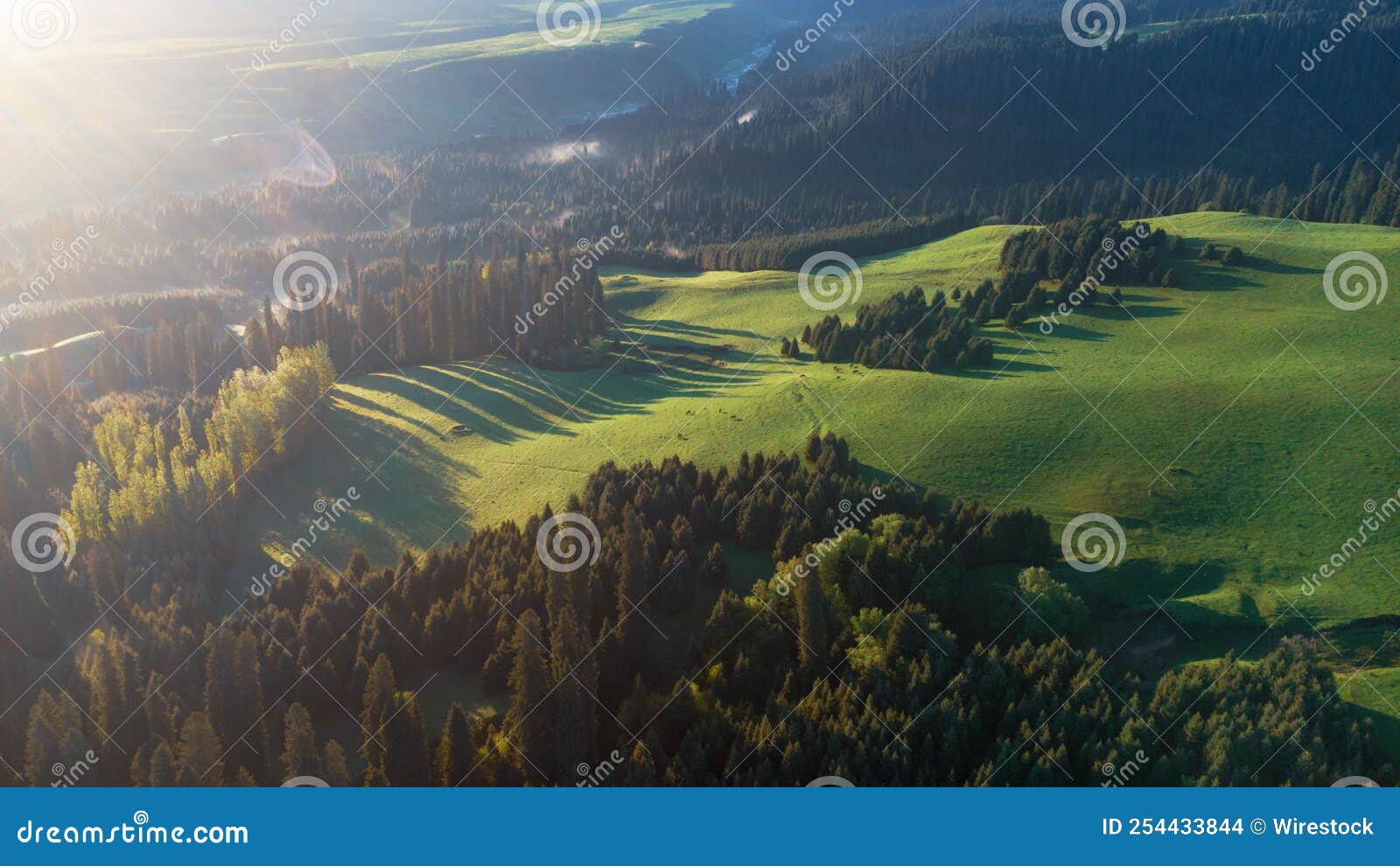 Aerial View of the Green Fields and Trees Stock Photo - Image of nature ...
