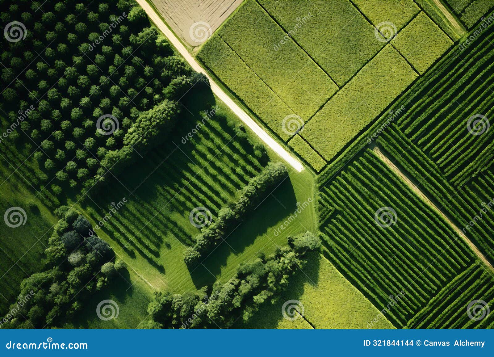 Aerial View of Green Fields and Trees in a Rural Landscape Stock Photo ...
