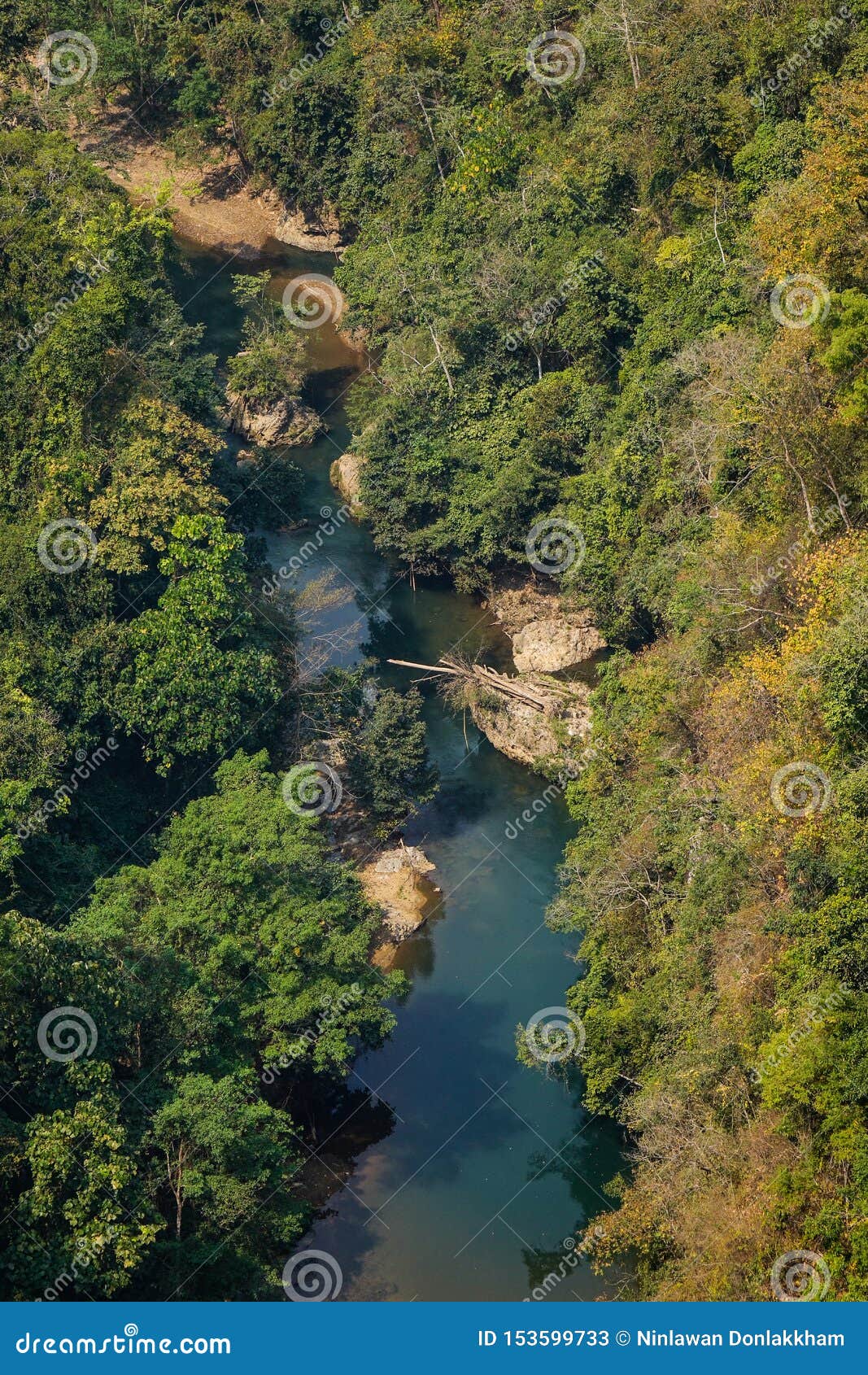 Aerial View of a Green Forest in Myanmar Stock Image - Image of ...