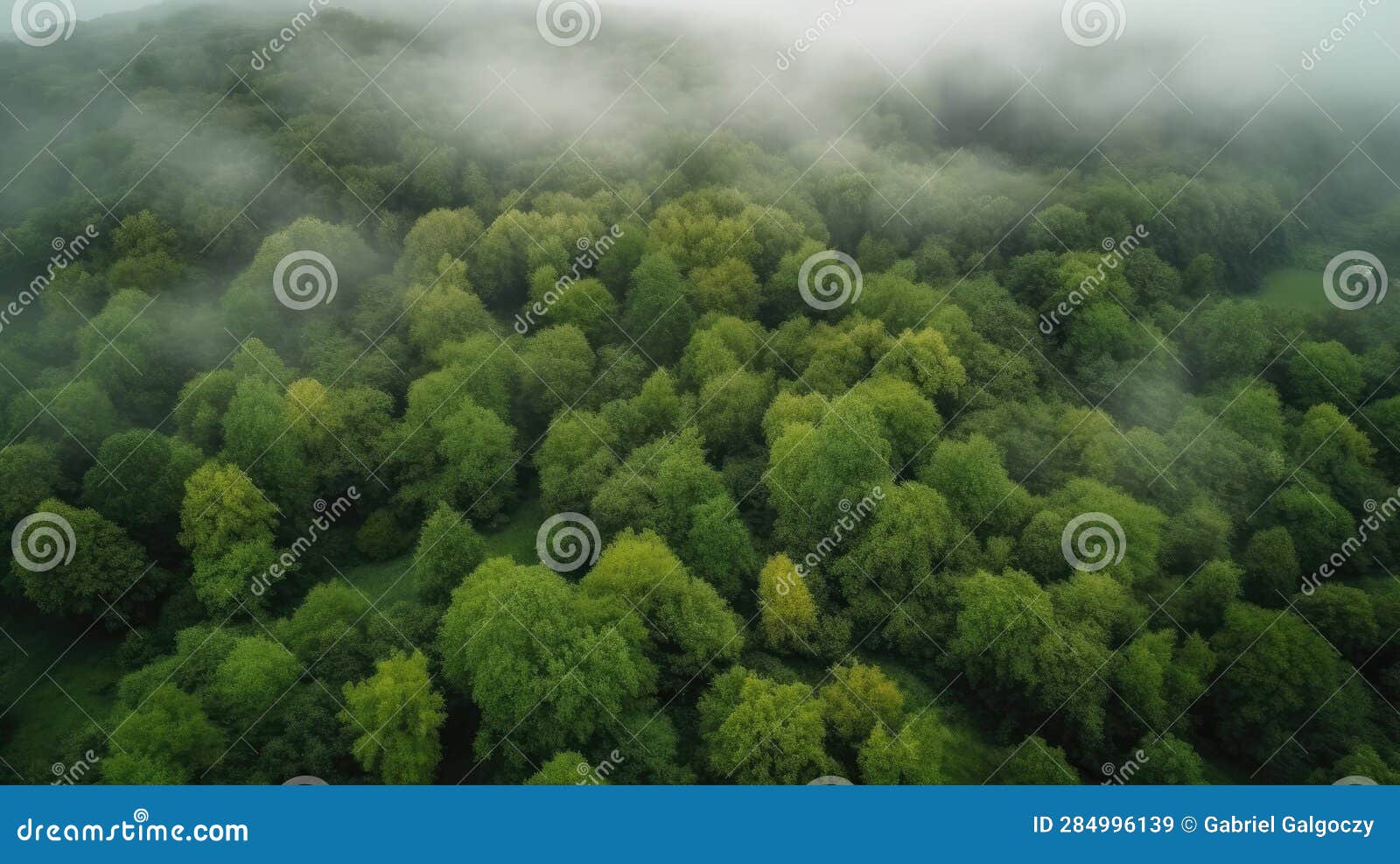 Aerial View of Green Forest. Top View of the Forest Stock Illustration ...