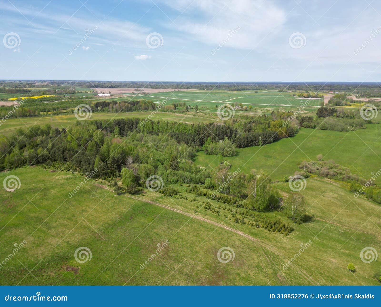 Aerial View of Green Forests Surrounded by Green Farmland Fields Stock ...