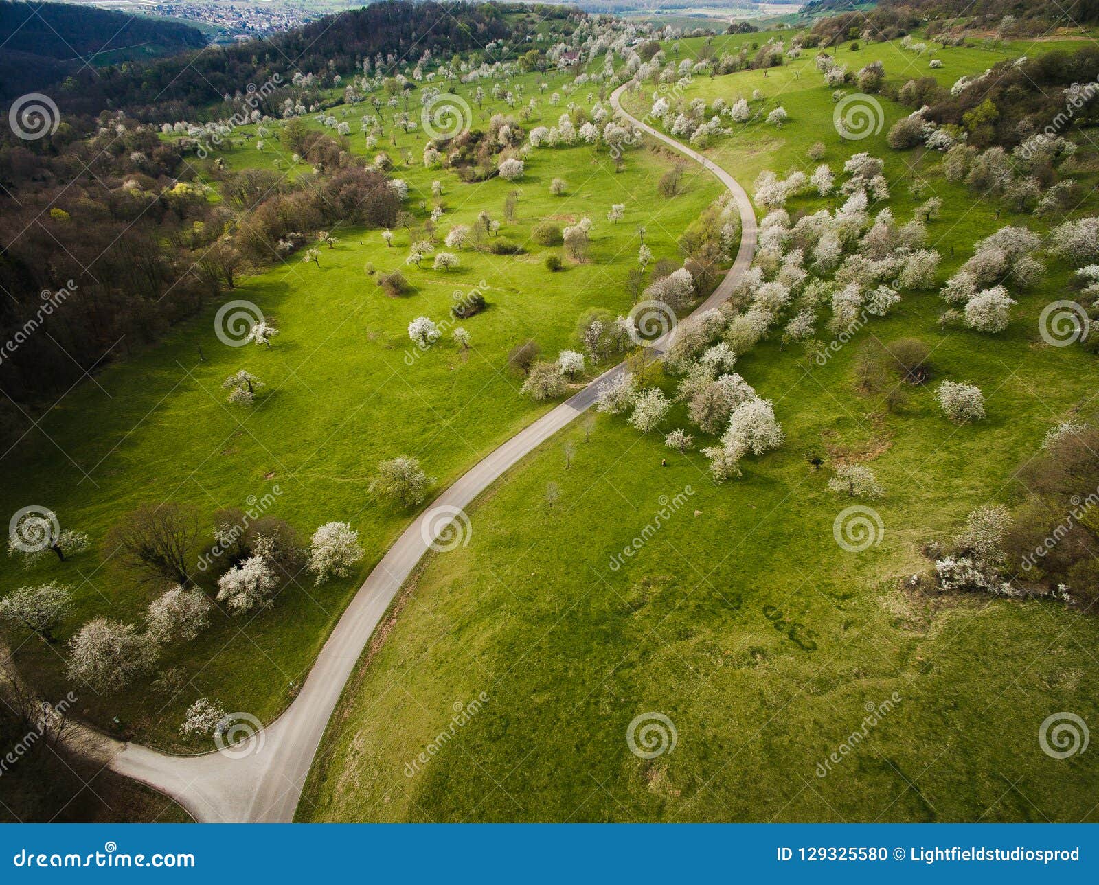 Aerial View of Green Hills with Trees Stock Photo - Image of explore ...