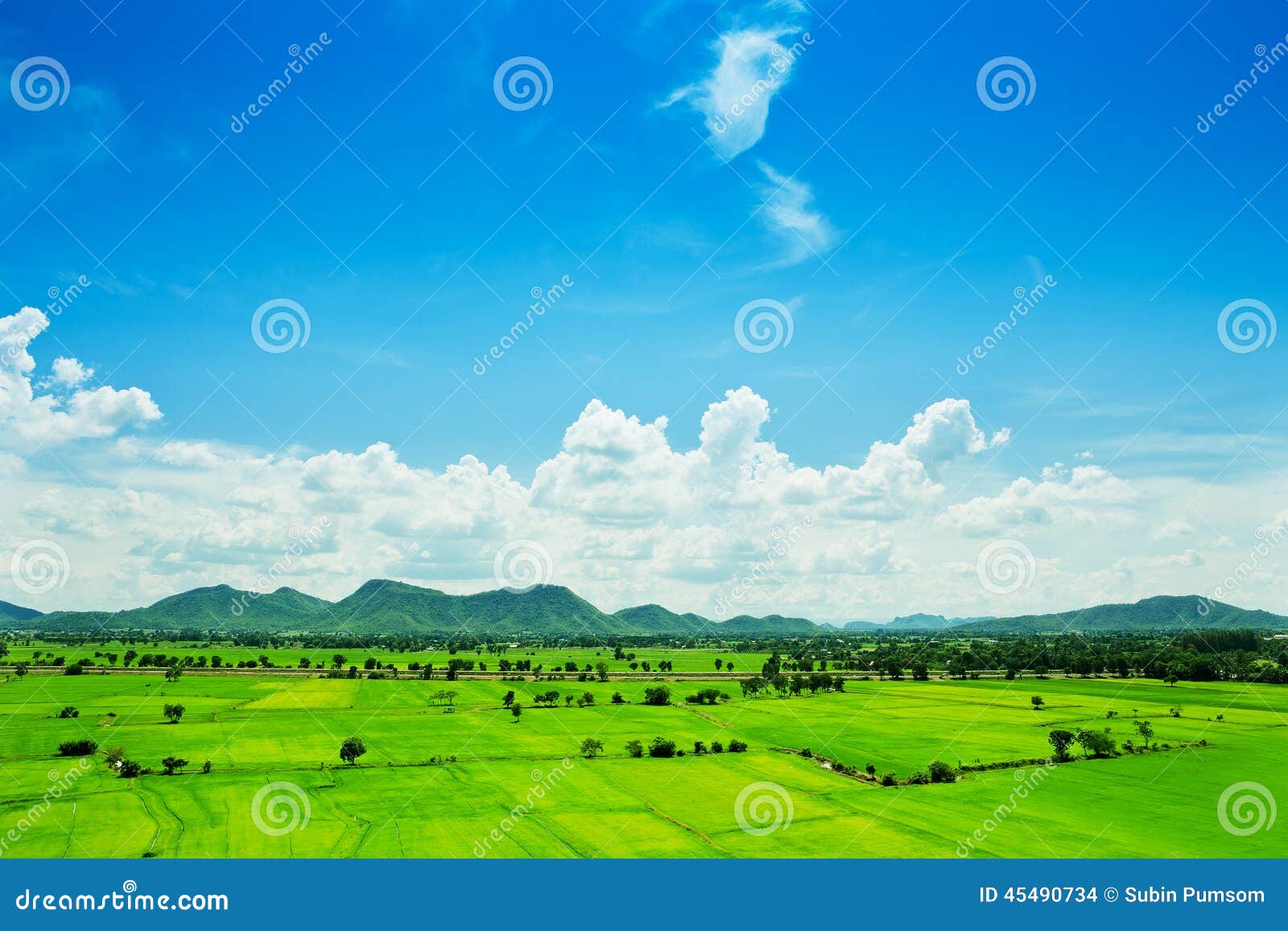 Aerial View of a Green Rural Area Stock Photo - Image of lane, angle ...