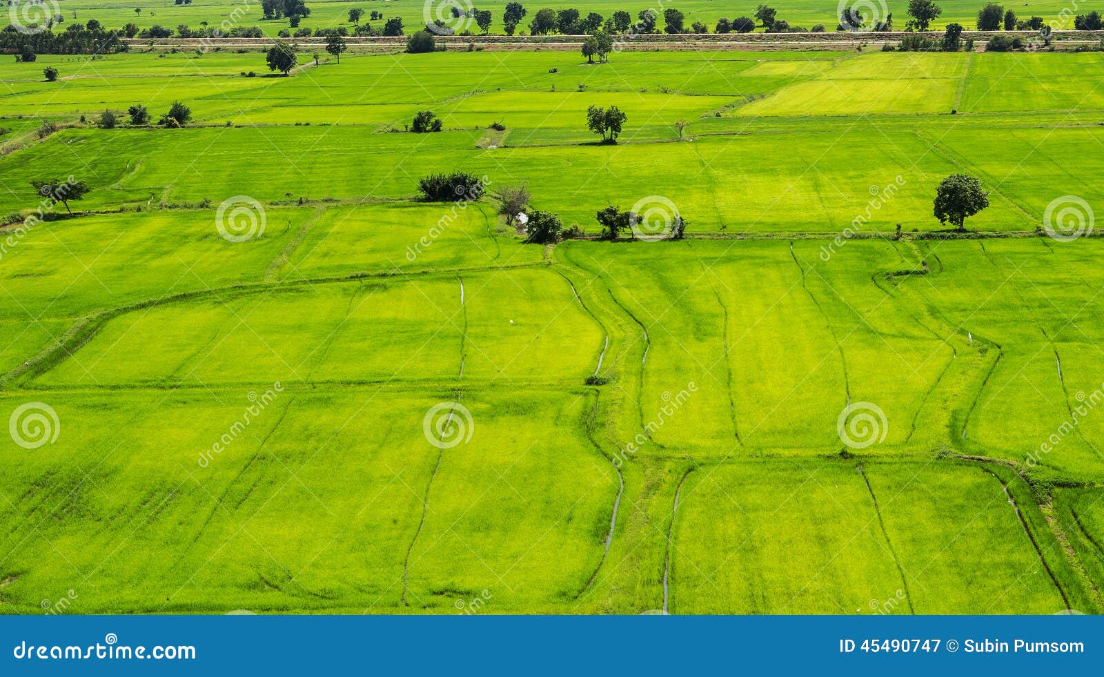 Aerial View of a Green Rural Area Stock Image - Image of land ...