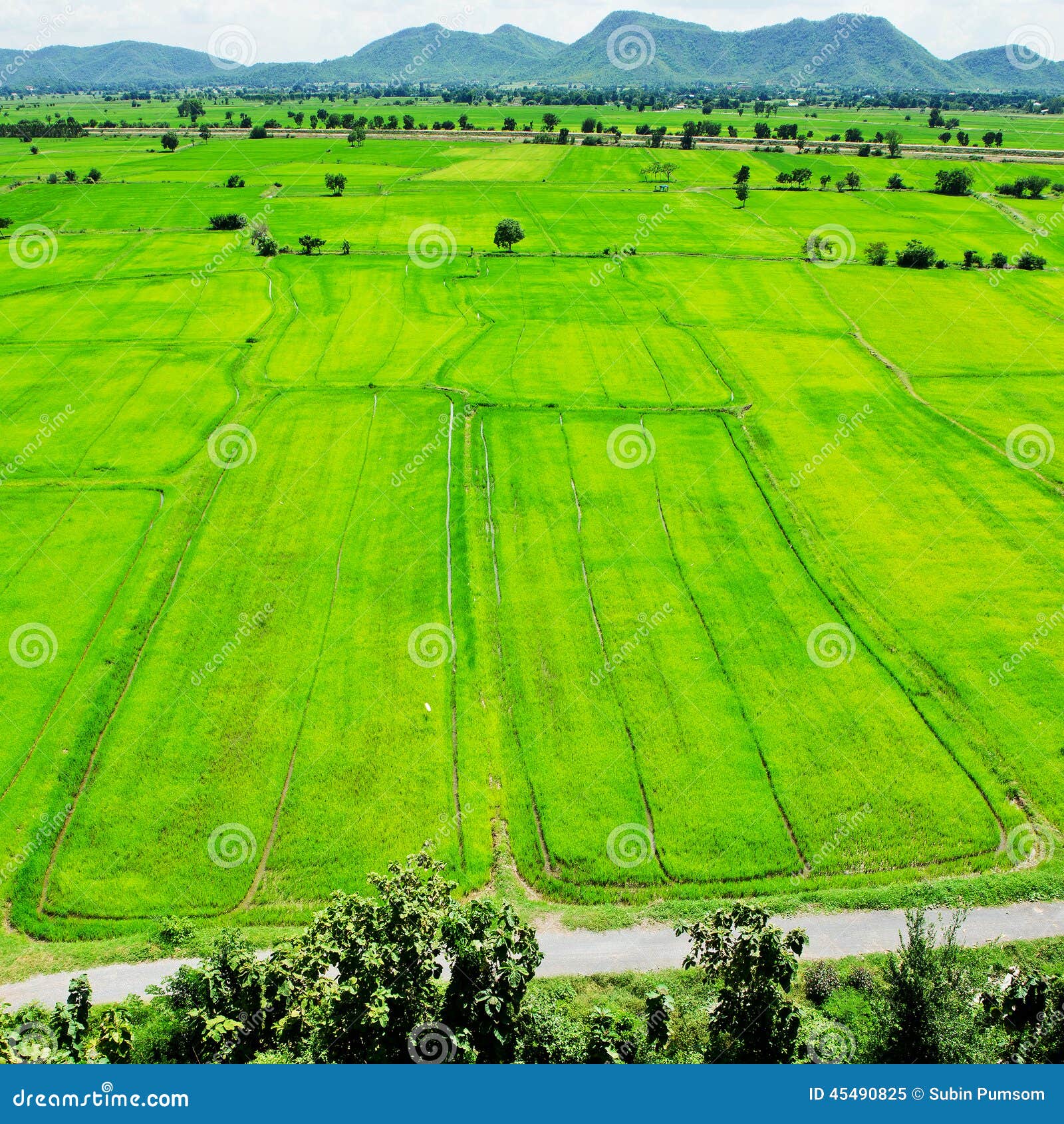 Aerial View of a Green Rural Area Stock Image - Image of field ...