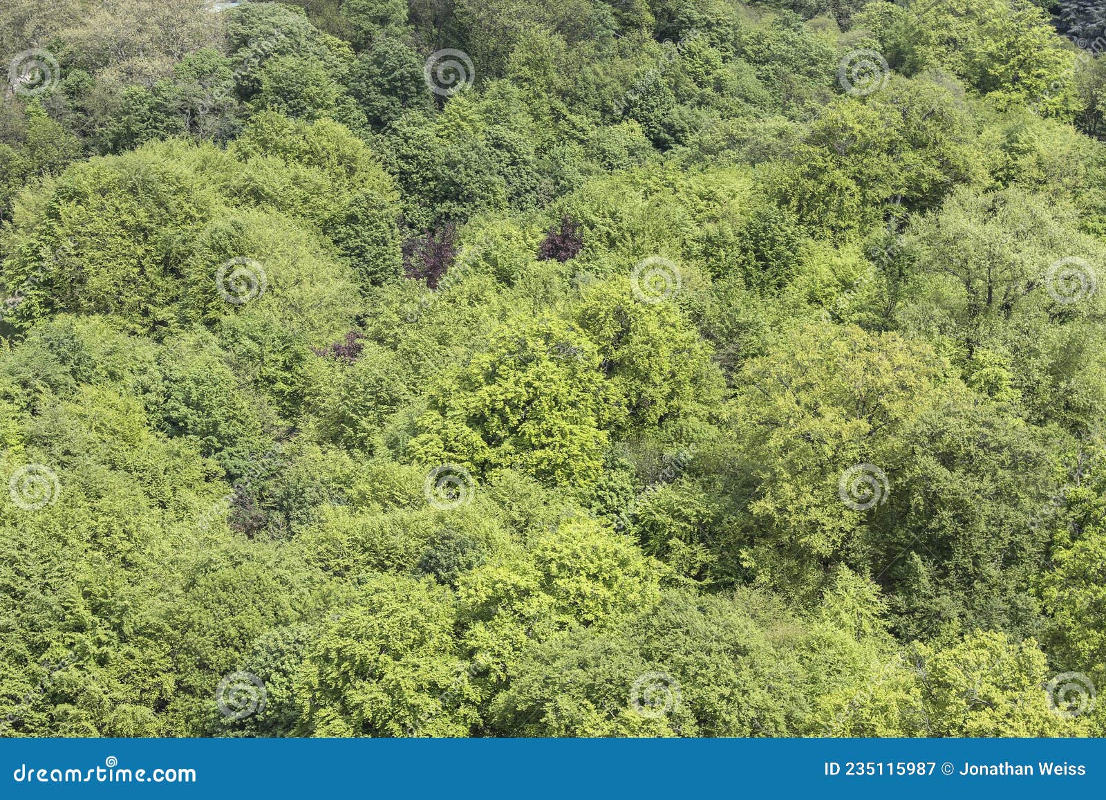Green Verdant Color Paint Abstract Pattern Plaster Wall Texture ...