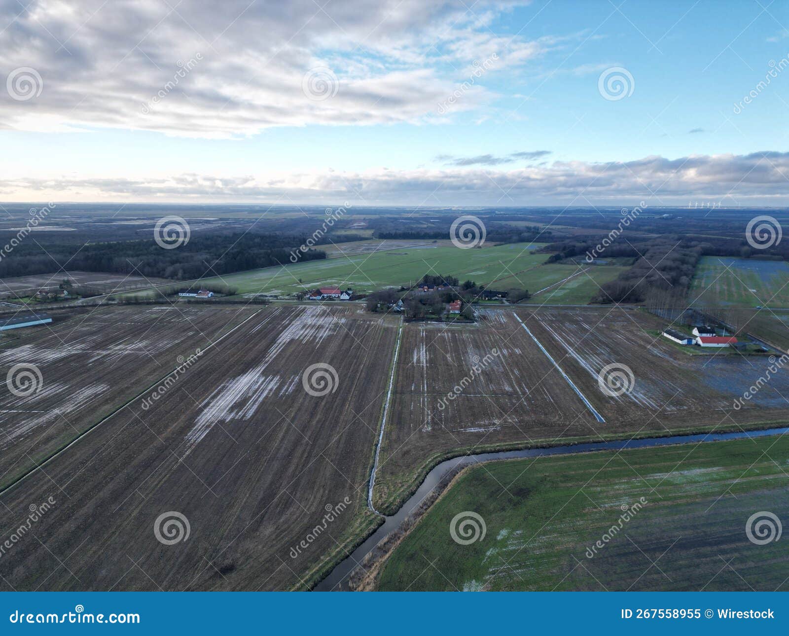 Aerial View of Greenery Field with Dense Trees Stock Image - Image of ...