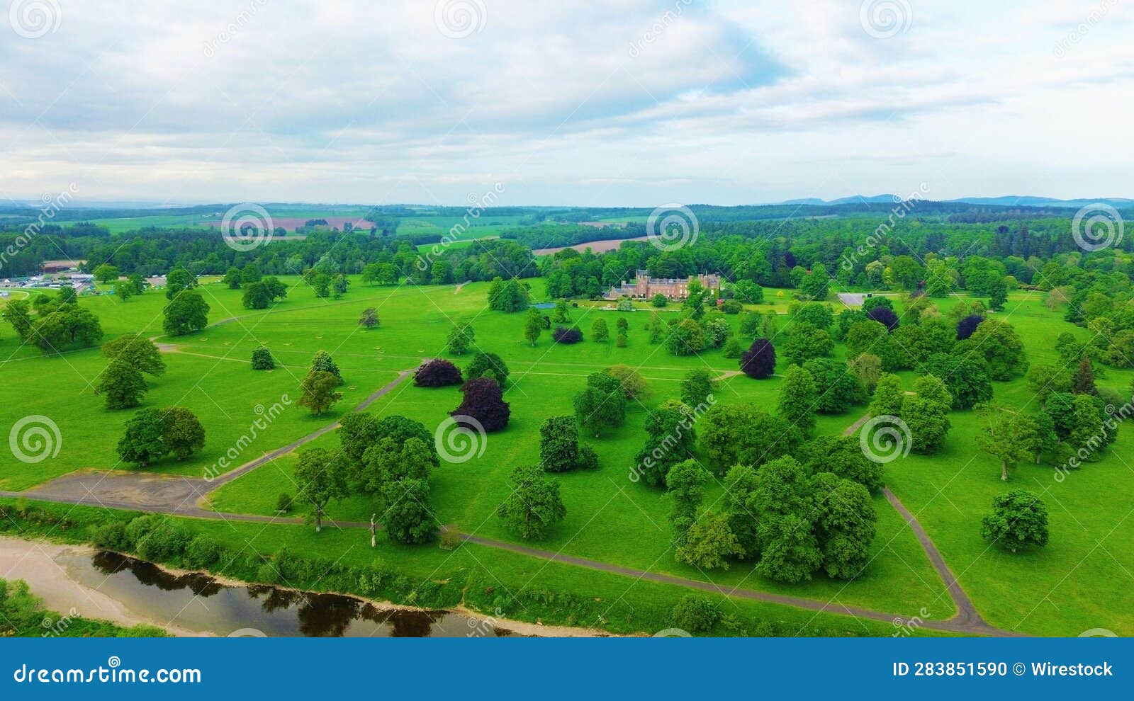 Aerial View of Greenery Field with Dense Trees Stock Photo - Image of ...