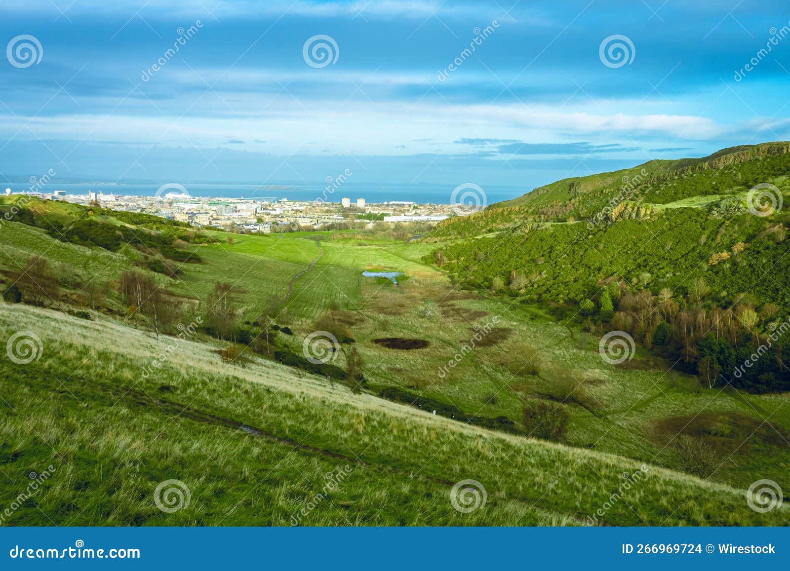 Aerial View of Greenery Field with Dense Trees Stock Photo - Image of ...