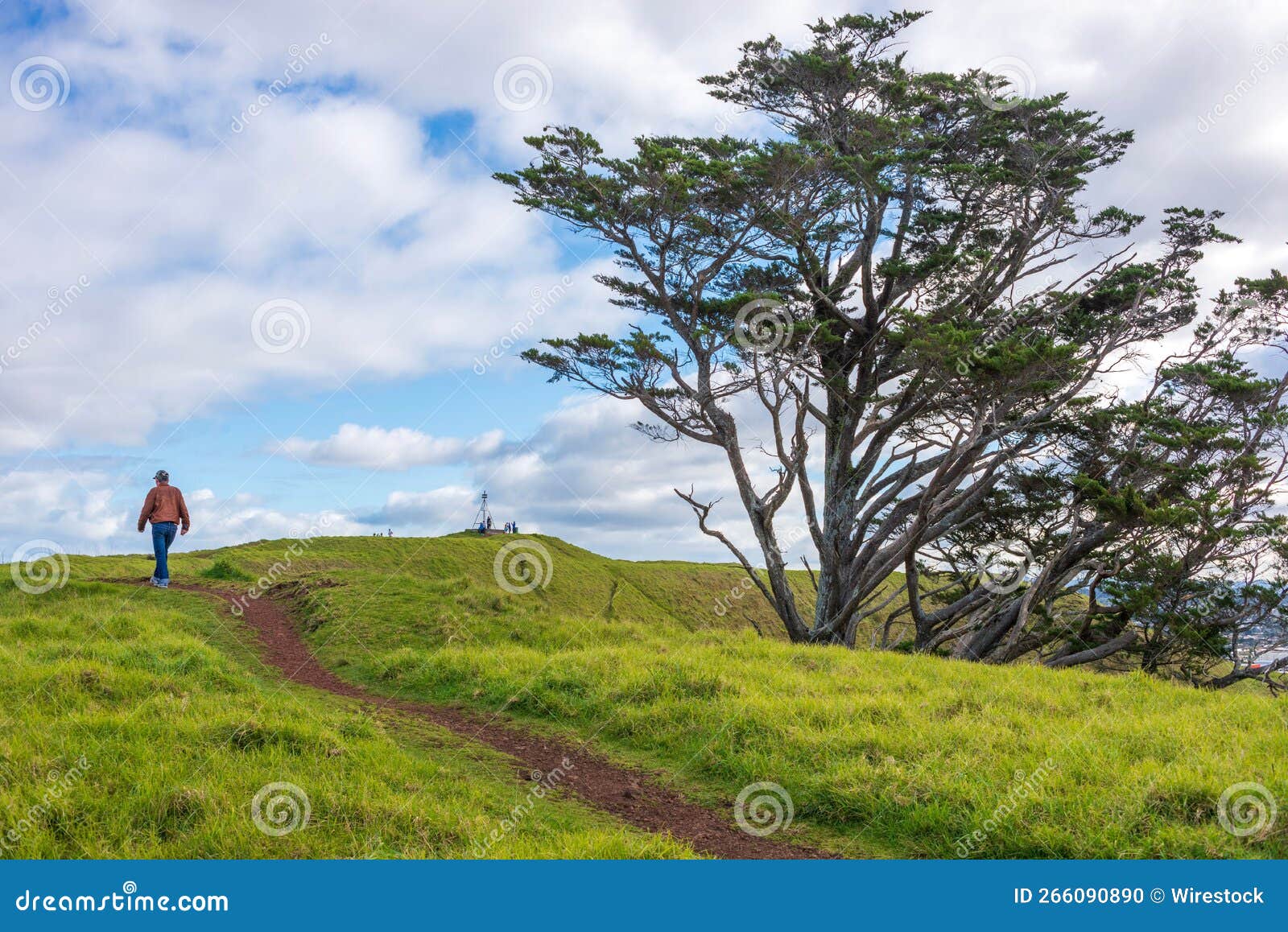 Aerial View of Greenery Field with Growing Trees Stock Photo - Image of ...