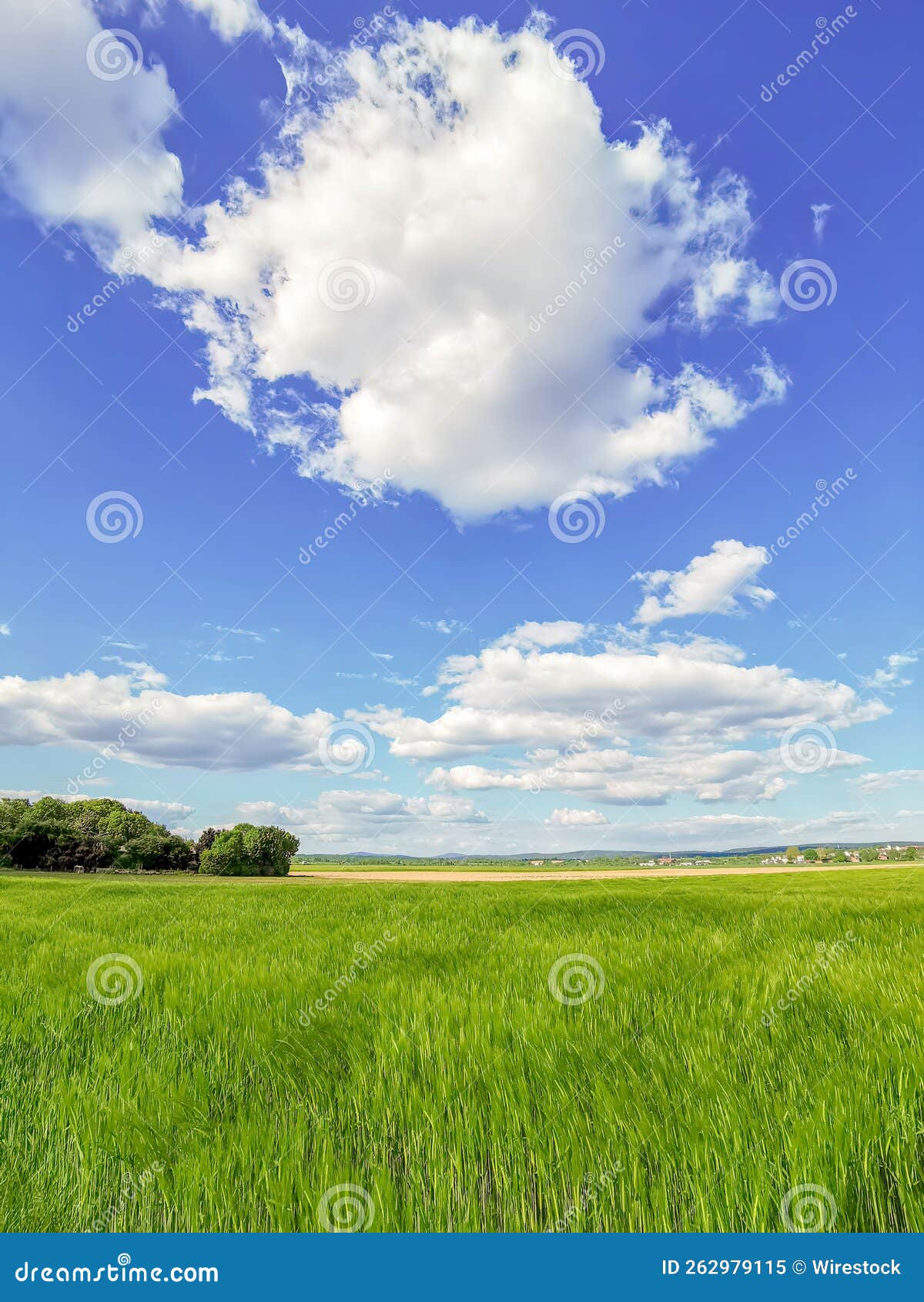 Aerial View of Greenery Field with Trees Stock Image - Image of spring ...