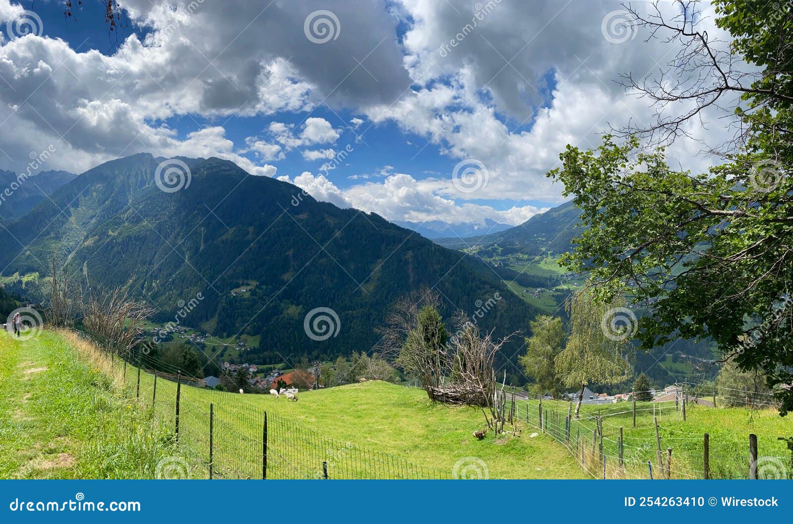 Aerial View of Greenery Fields Surrounded by Growing Trees in ...