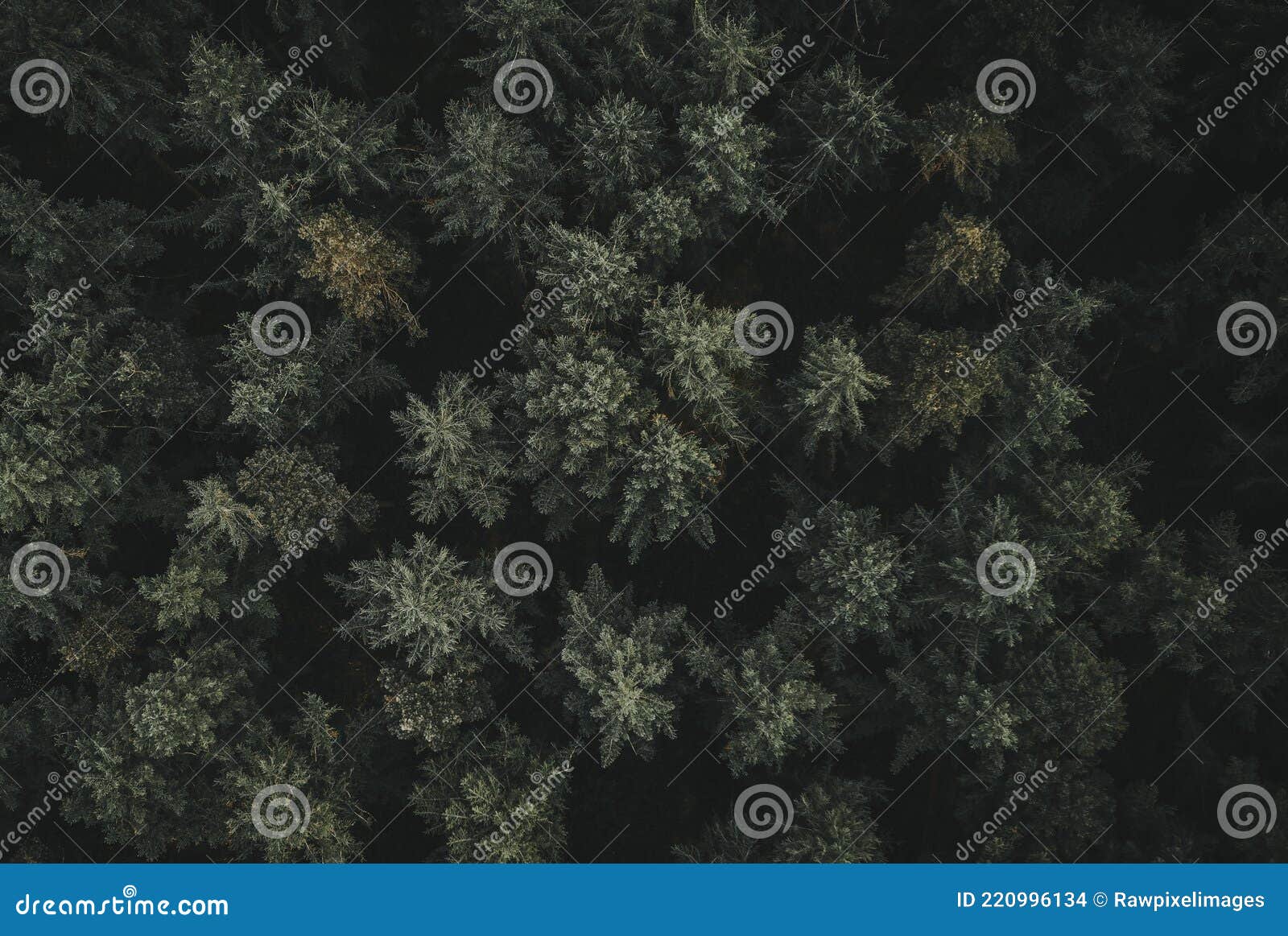 Aerial View of a Greenery Forest Stock Photo - Image of autumn, leaves ...