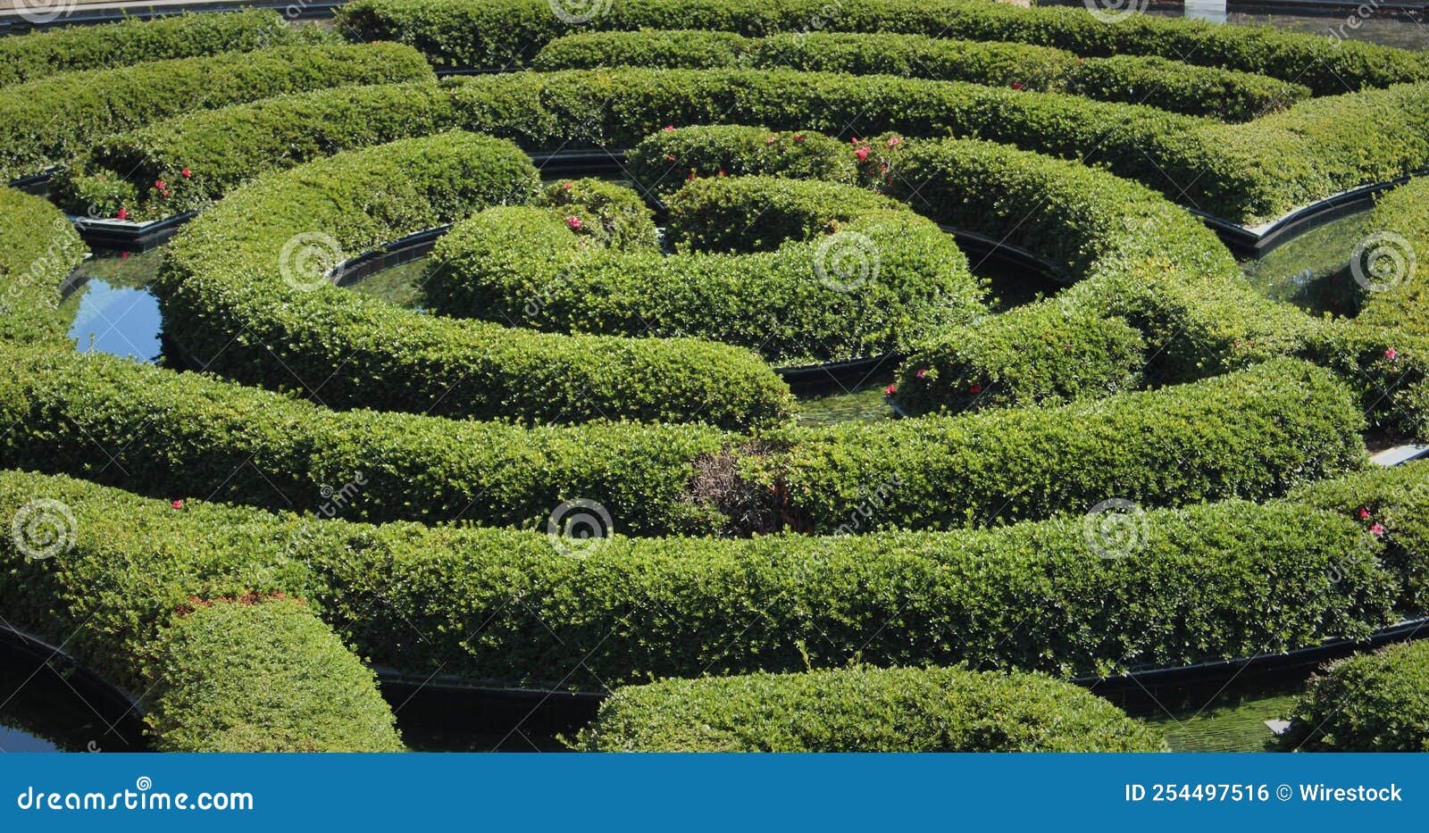 Aerial View of Greenery Hedge Maze Surrounded by Water Stock Photo ...