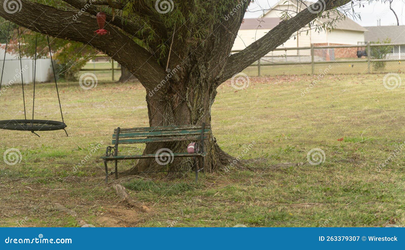 Aerial View of Greenery Park with Bench Stock Image - Image of greenery ...