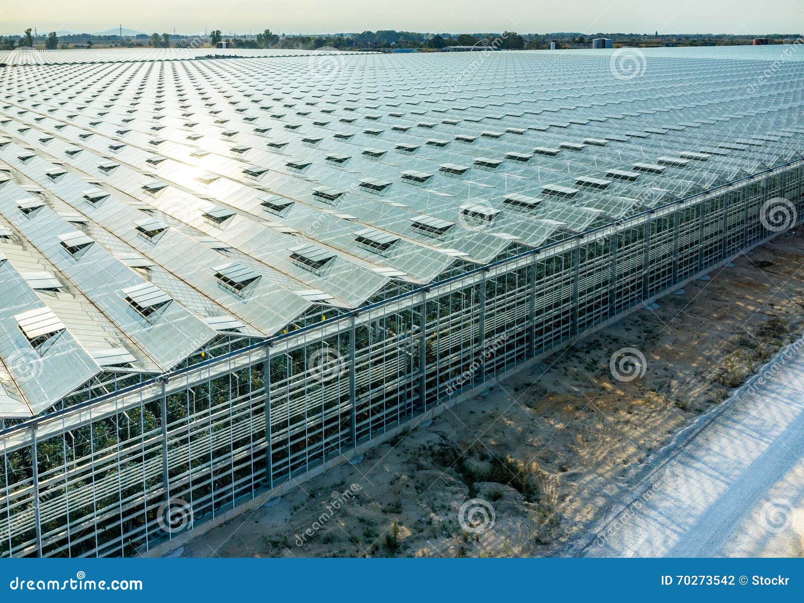Aerial View on the Greenhouse Stock Photo - Image of agriculture ...