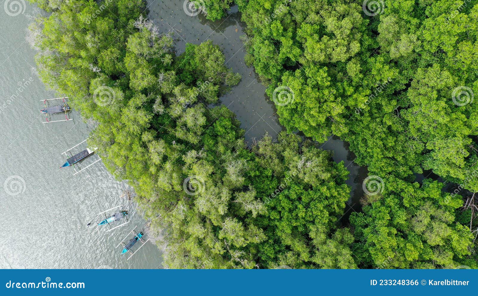 Aerial View of Group Green Tress on Sunny Day Stock Photo - Image of ...