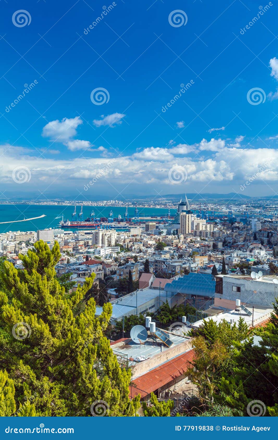 Aerial View of Haifa city stock photo. Image of garden - 77919838