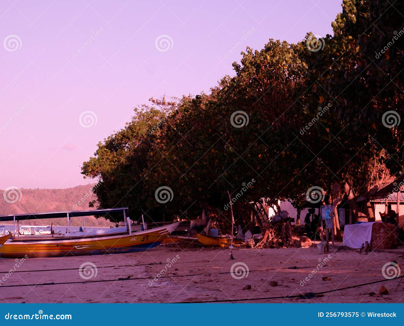 Aerial View of Harbor Surrounded by Trees in Sekoto Editorial Image ...