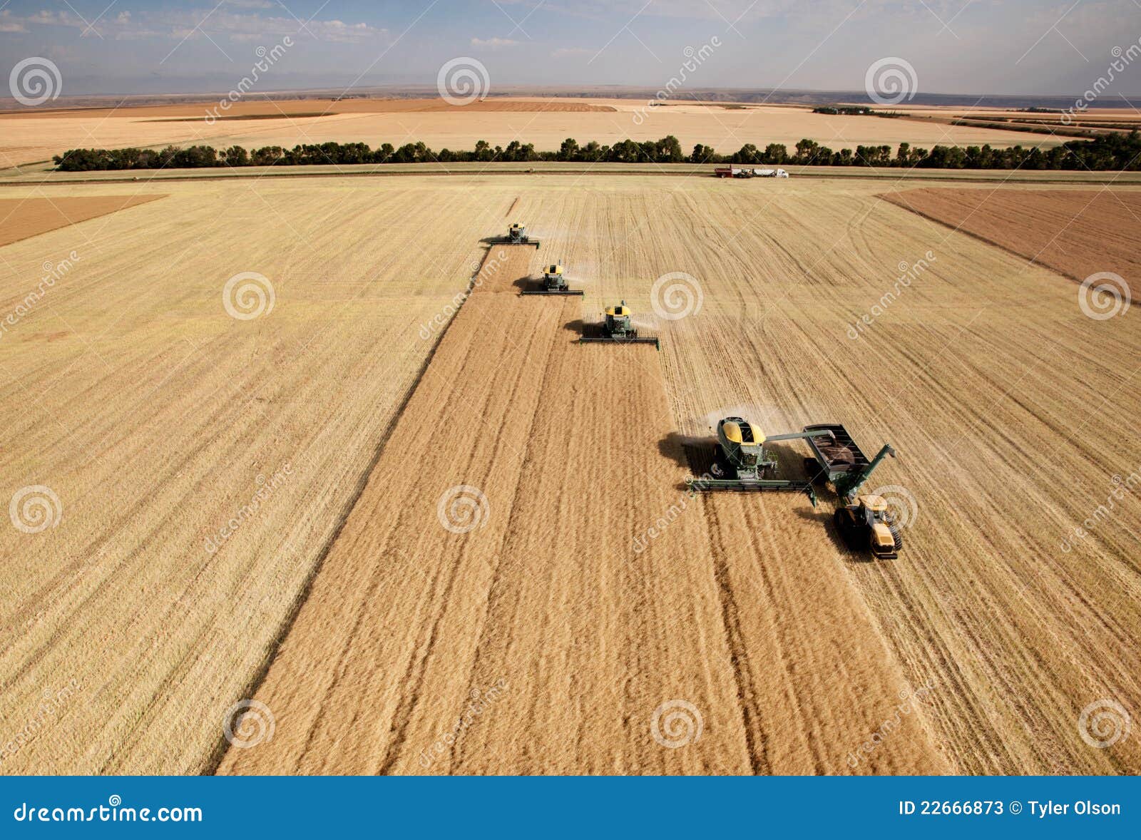Aerial View of Harvest stock image. Image of flat, industry - 22666873