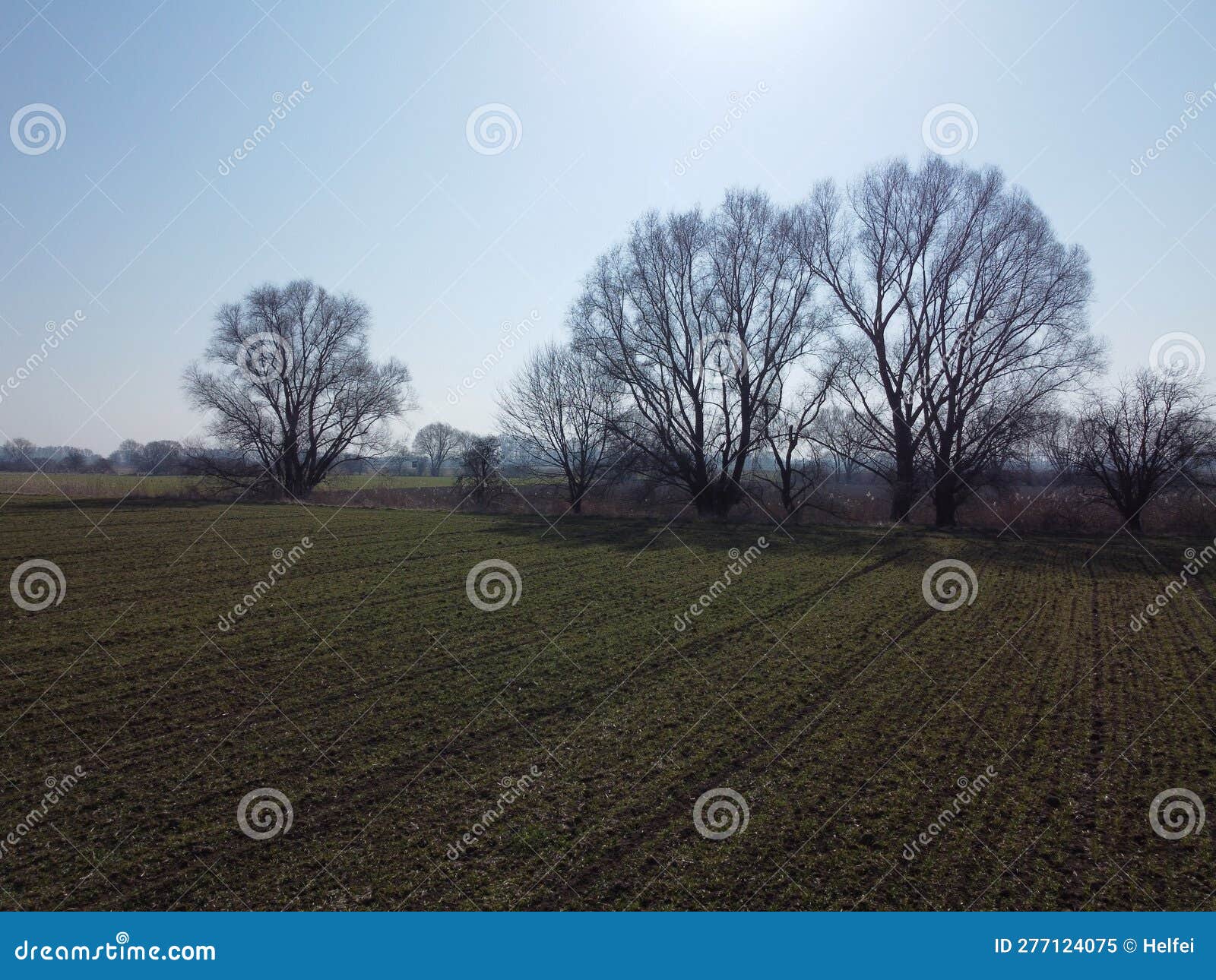 Aerial View of the Harvest Fields and Forests in Germany Stock Image ...