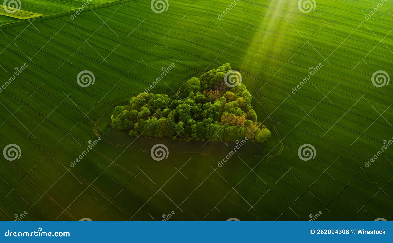 Aerial View of a Heart-shaped Green Landscape Stock Photo - Image of ...
