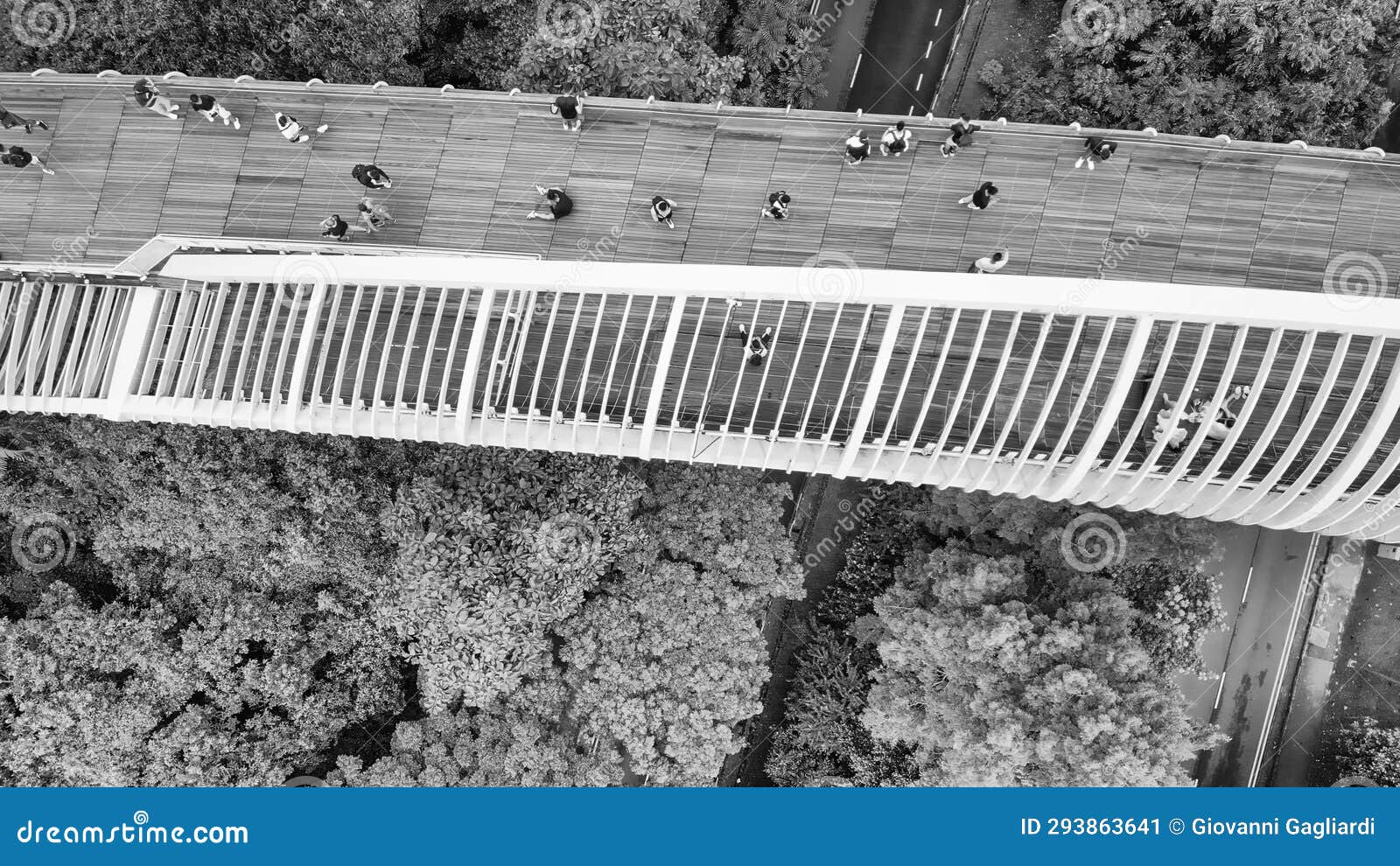 Aerial View of Henderson Waves Bridge in Singapore Stock Image - Image ...