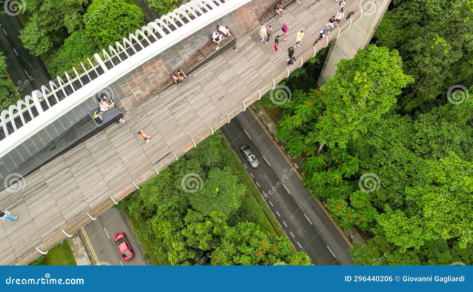 Aerial View of Henderson Waves Bridge in Singapore Stock Photo - Image ...
