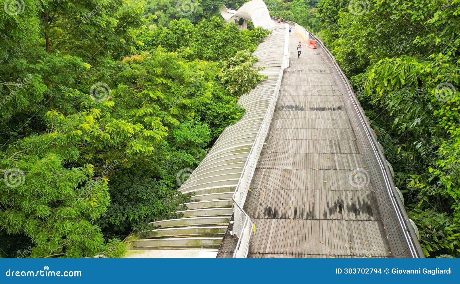 Aerial View of Henderson Waves Bridge in Singapore Stock Photo - Image ...