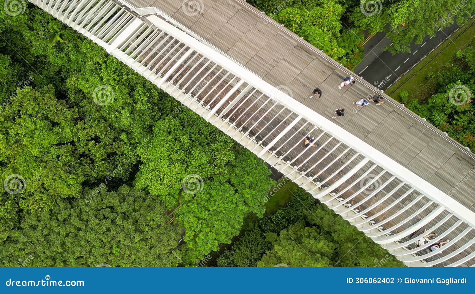 Aerial View of Henderson Waves Bridge in Singapore Stock Photo - Image ...