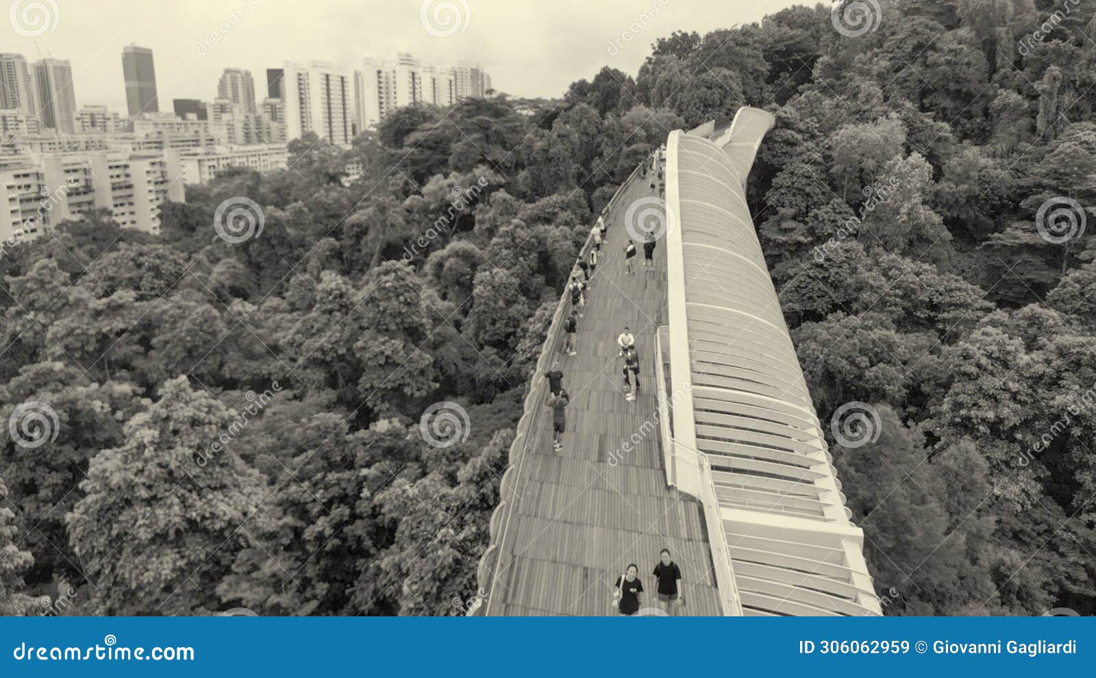 Aerial View of Henderson Waves Bridge in Singapore Stock Image - Image ...