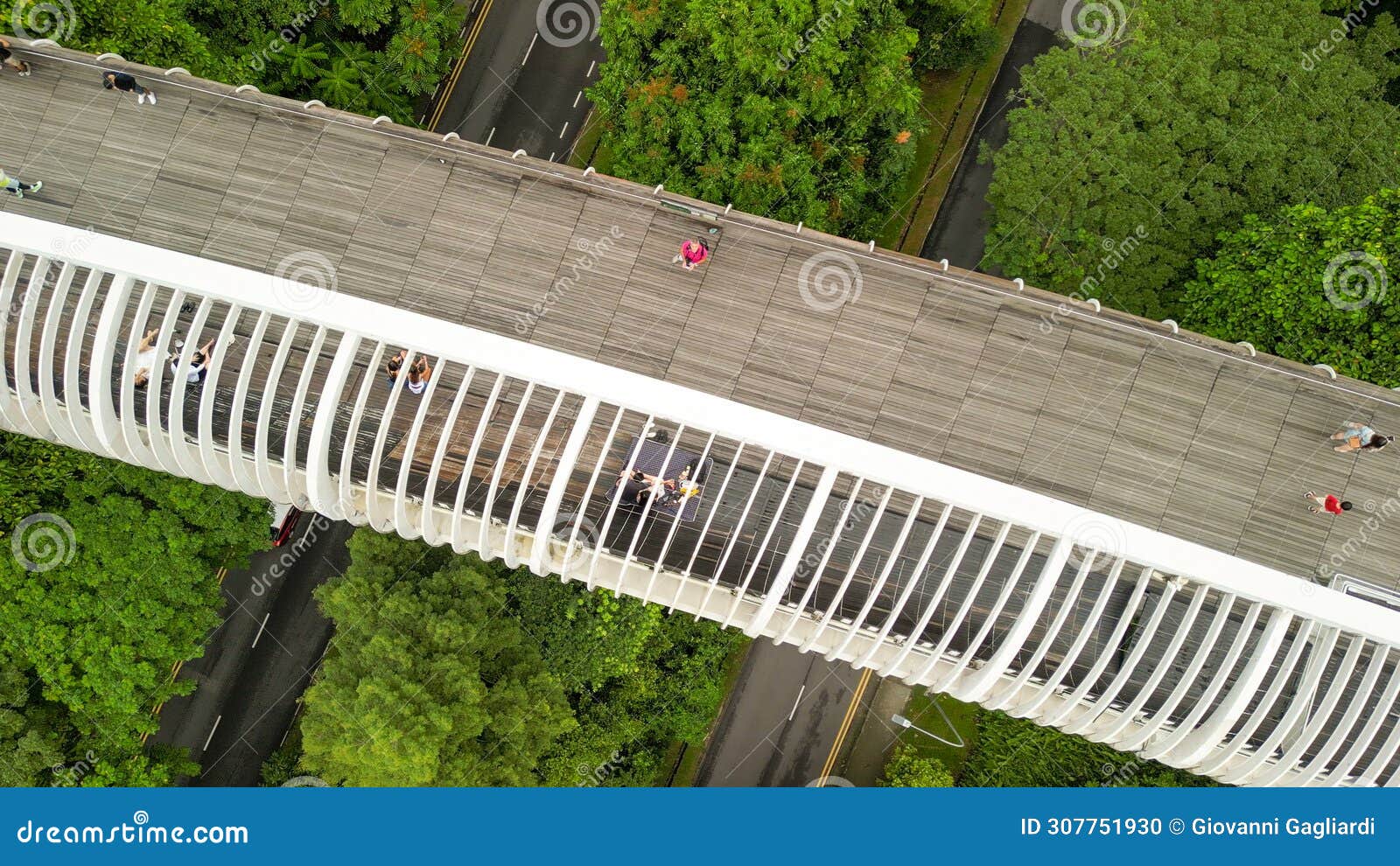 Aerial View of Henderson Waves Bridge in Singapore Stock Photo - Image ...