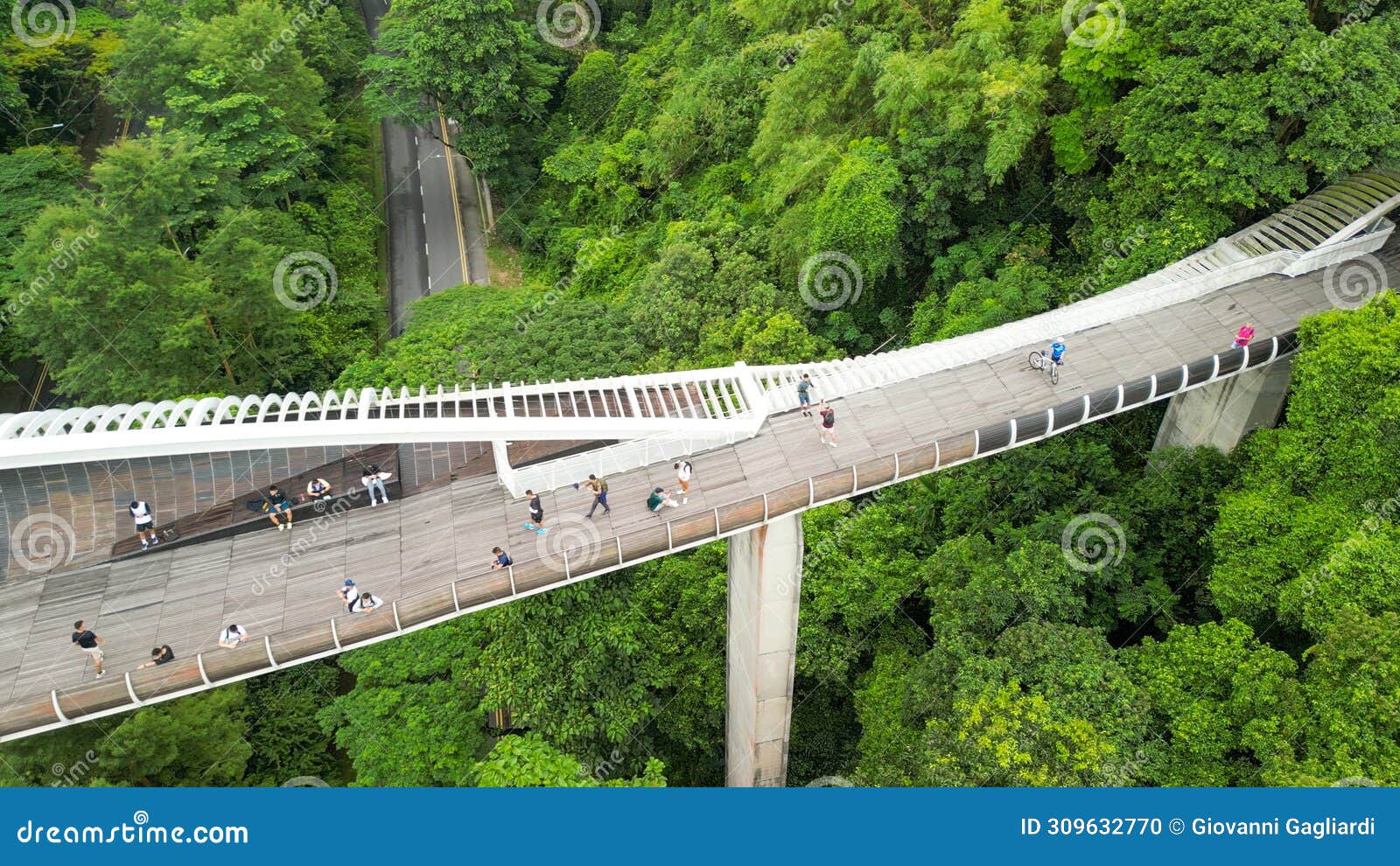Aerial View of Henderson Waves Bridge in Singapore Stock Photo - Image ...