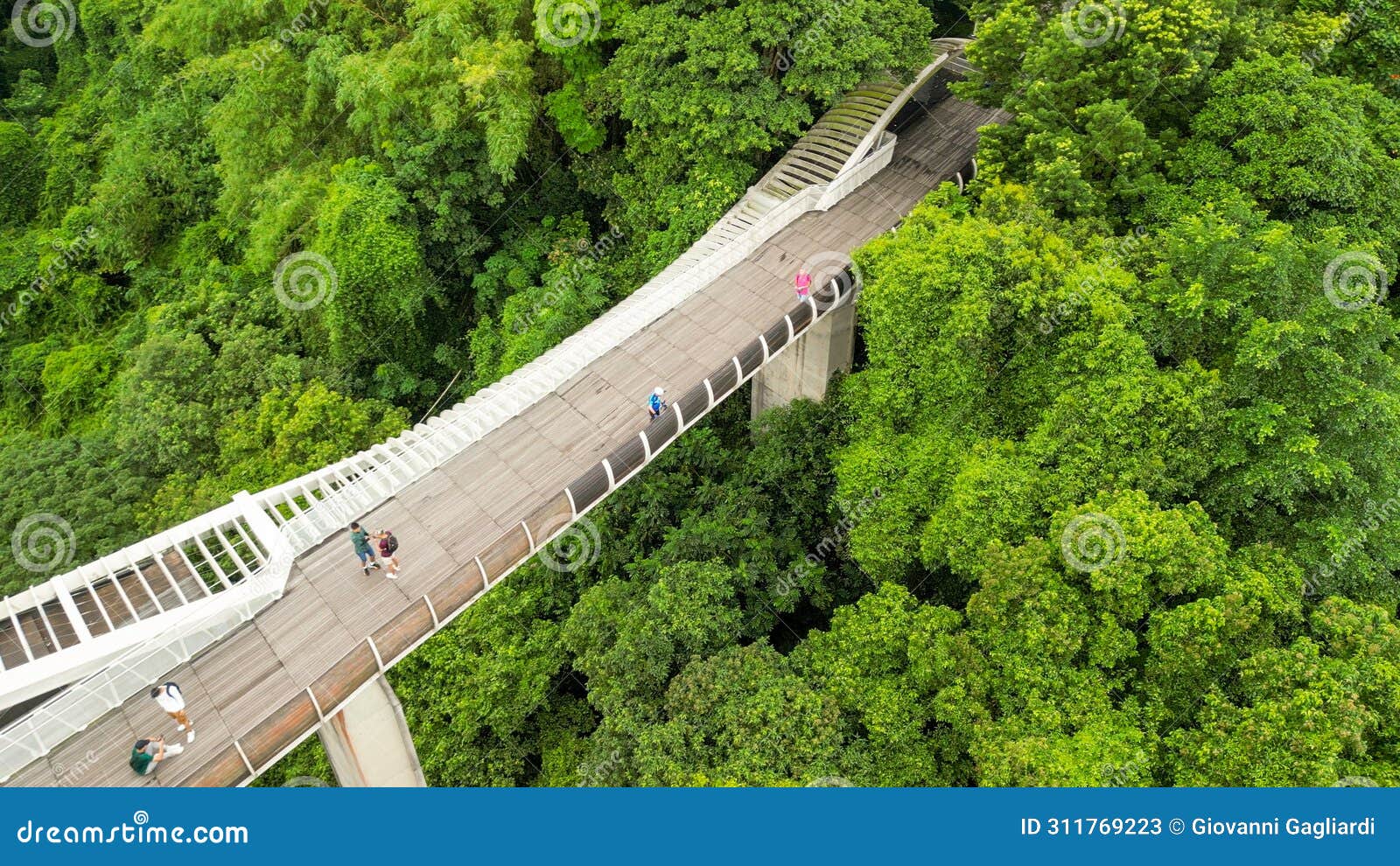 Aerial View of Henderson Waves Bridge in Singapore Editorial Stock ...