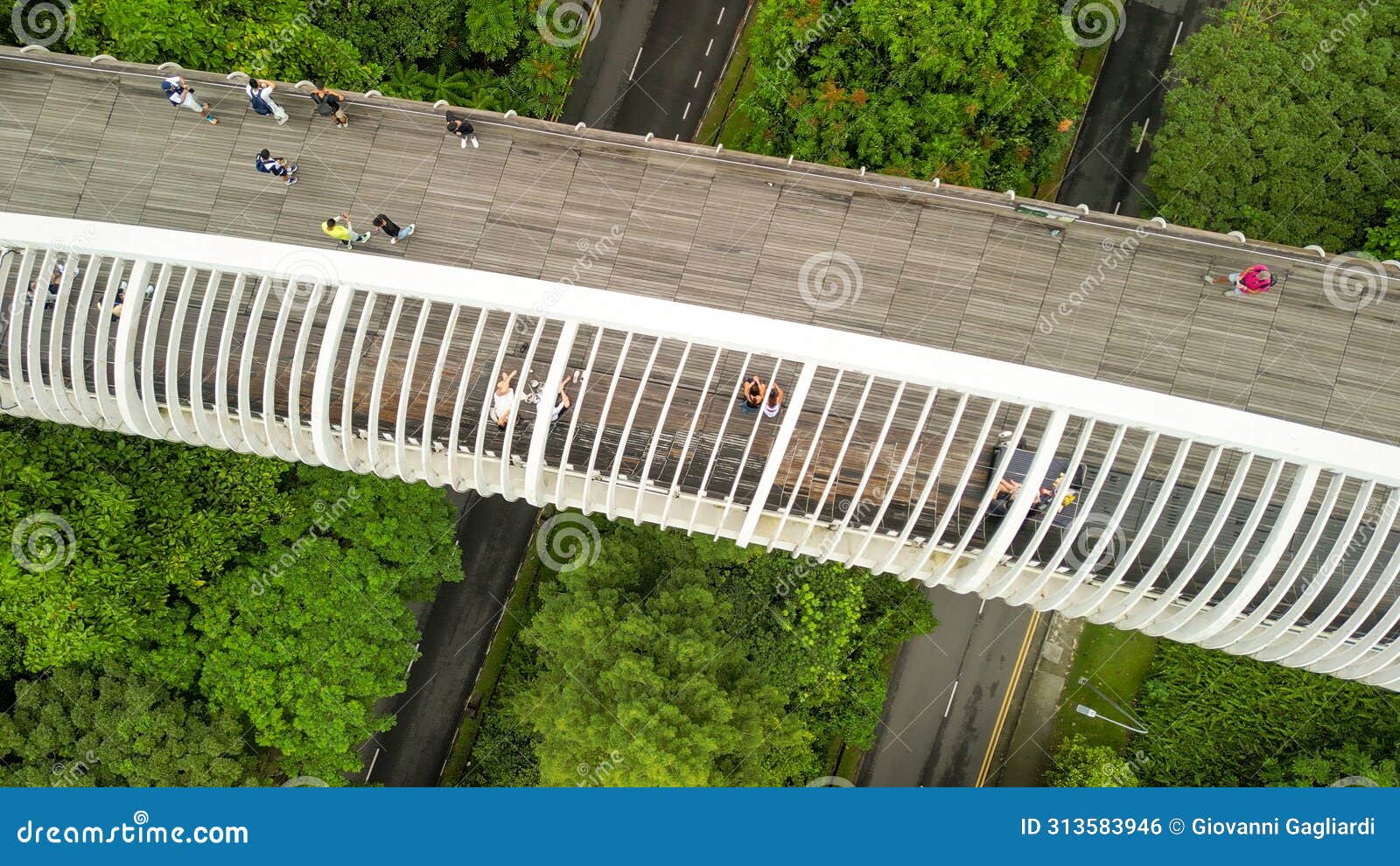 Aerial View of Henderson Waves Bridge in Singapore Stock Photo - Image ...