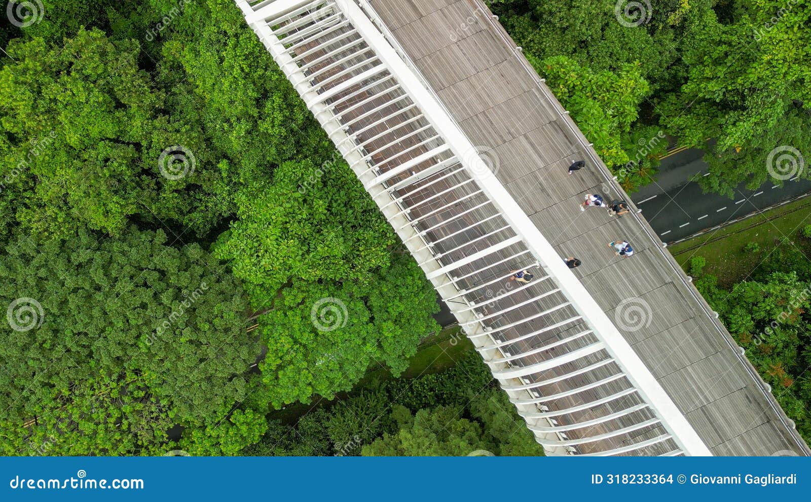 Aerial View of Henderson Waves Bridge in Singapore Stock Photo - Image ...